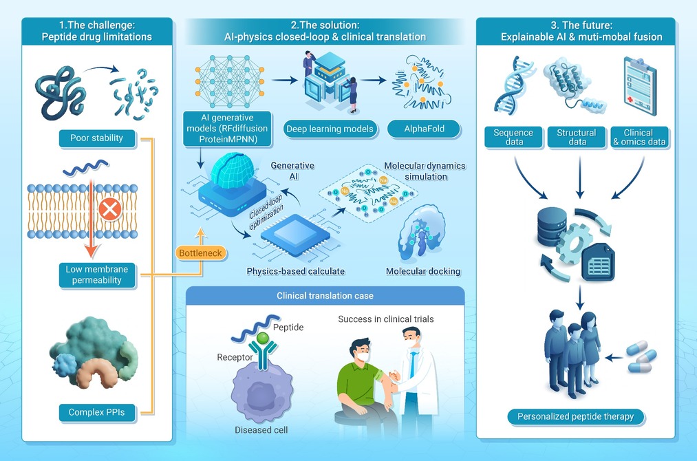The evolution of computation-driven paradigms in targeted peptide drug ...