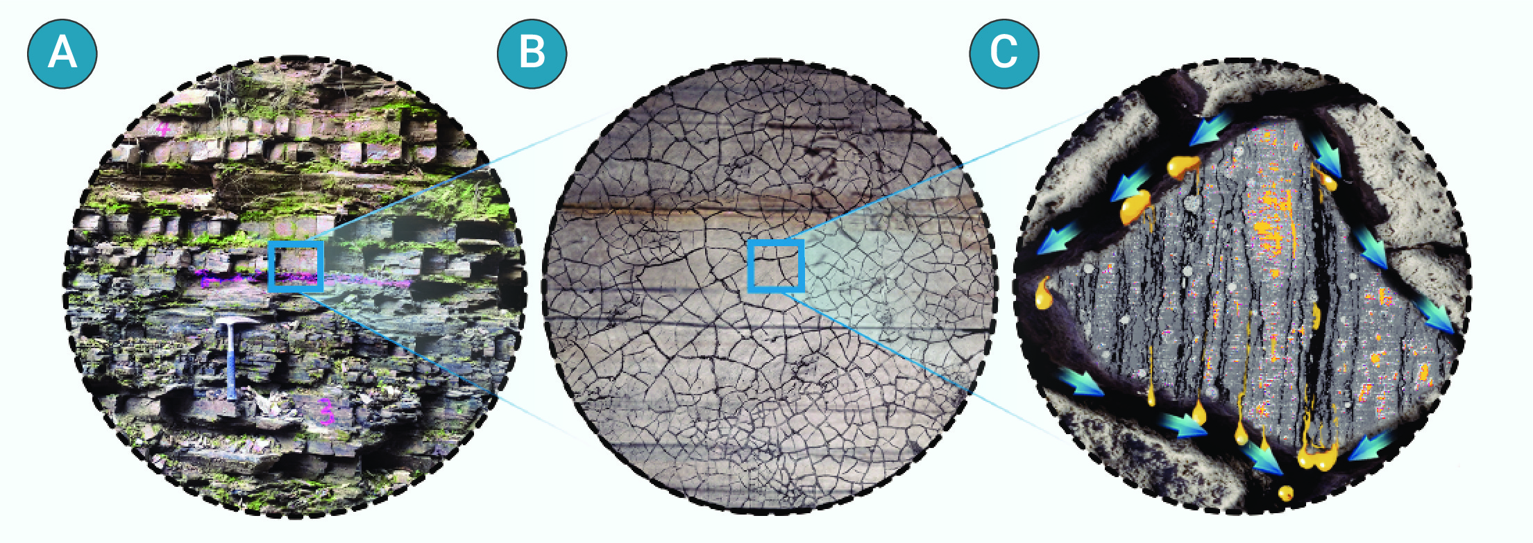 Detecting shale oil hidden in nanopores using a novel electron ...