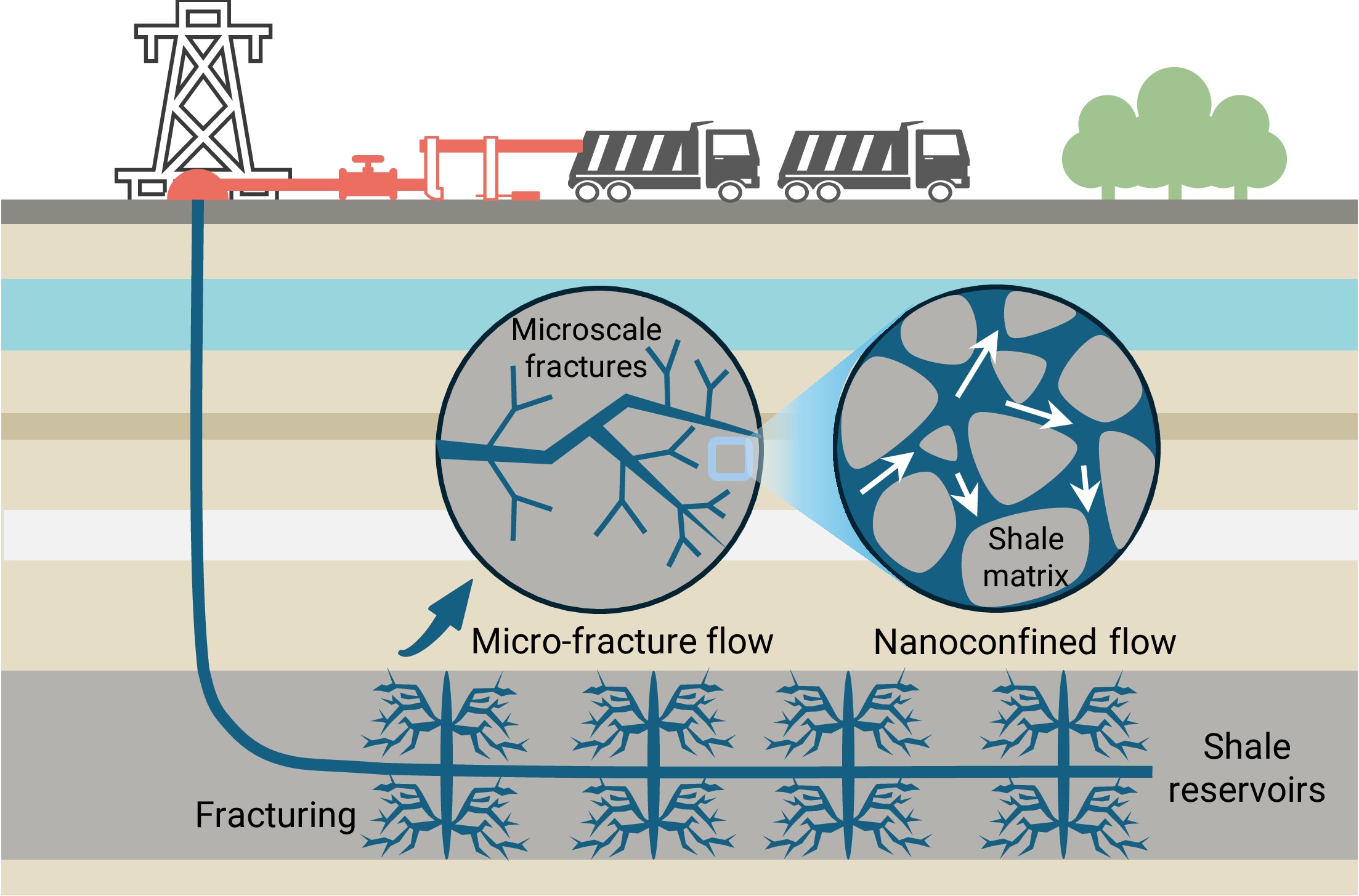 Three-dimensional modeling of nanoconfined multiphase flow in clay nanopores using FIB-SEM ...