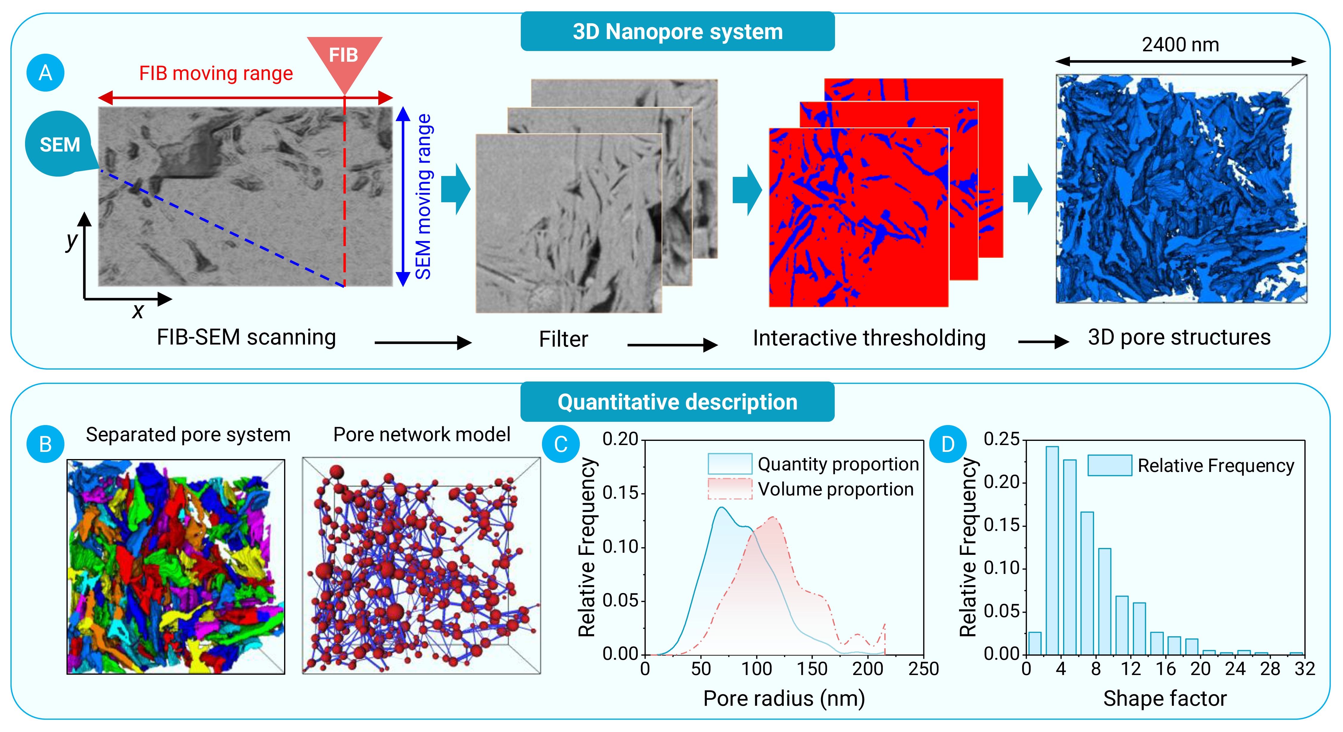 Three-dimensional modeling of nanoconfined multiphase flow in clay nanopores using FIB-SEM ...