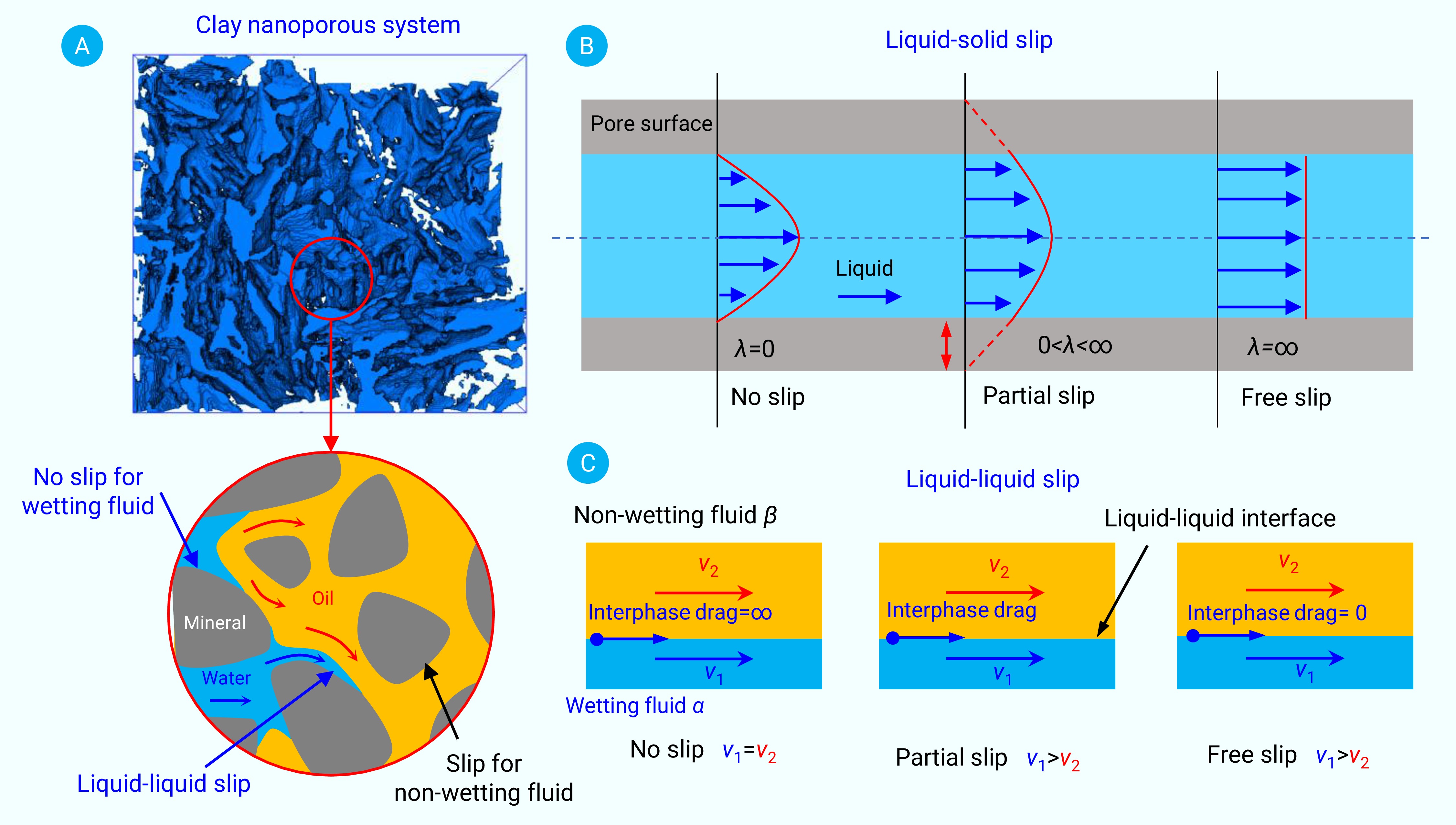 Three-dimensional modeling of nanoconfined multiphase flow in clay ...