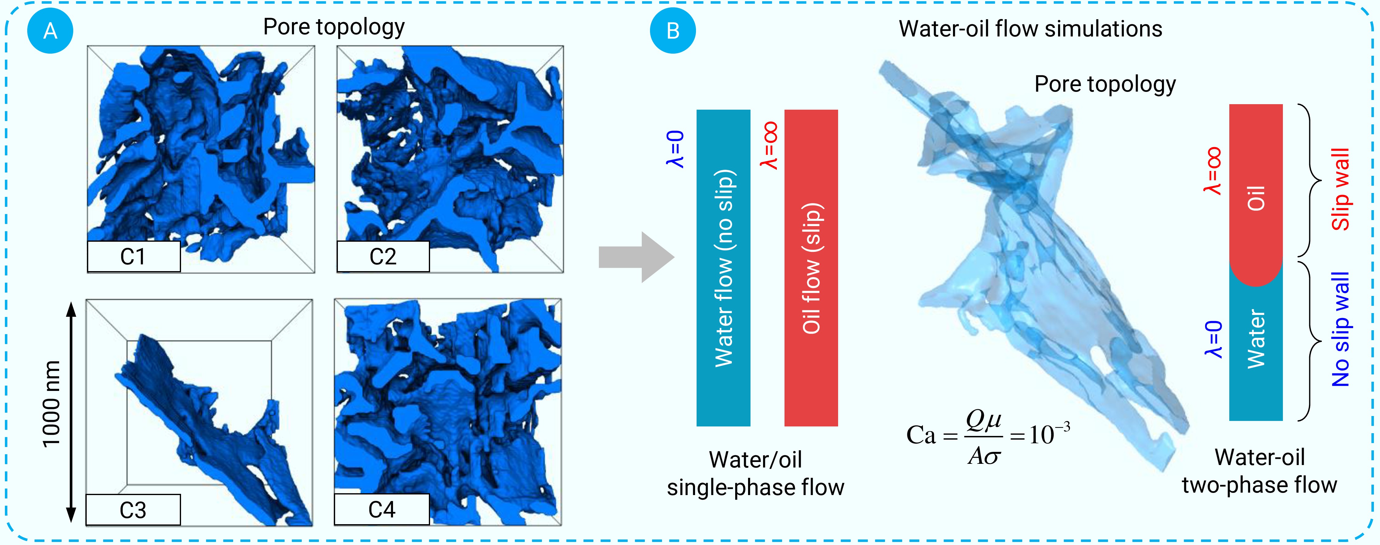 Three-dimensional modeling of nanoconfined multiphase flow in clay nanopores using FIB-SEM ...
