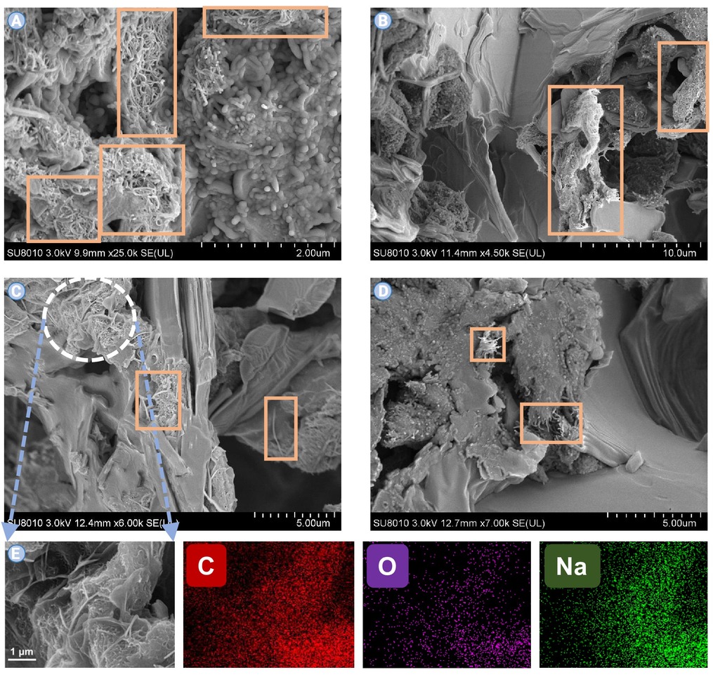 Porosity-tunable composite aerogels enabled by homogeneous phase change ...