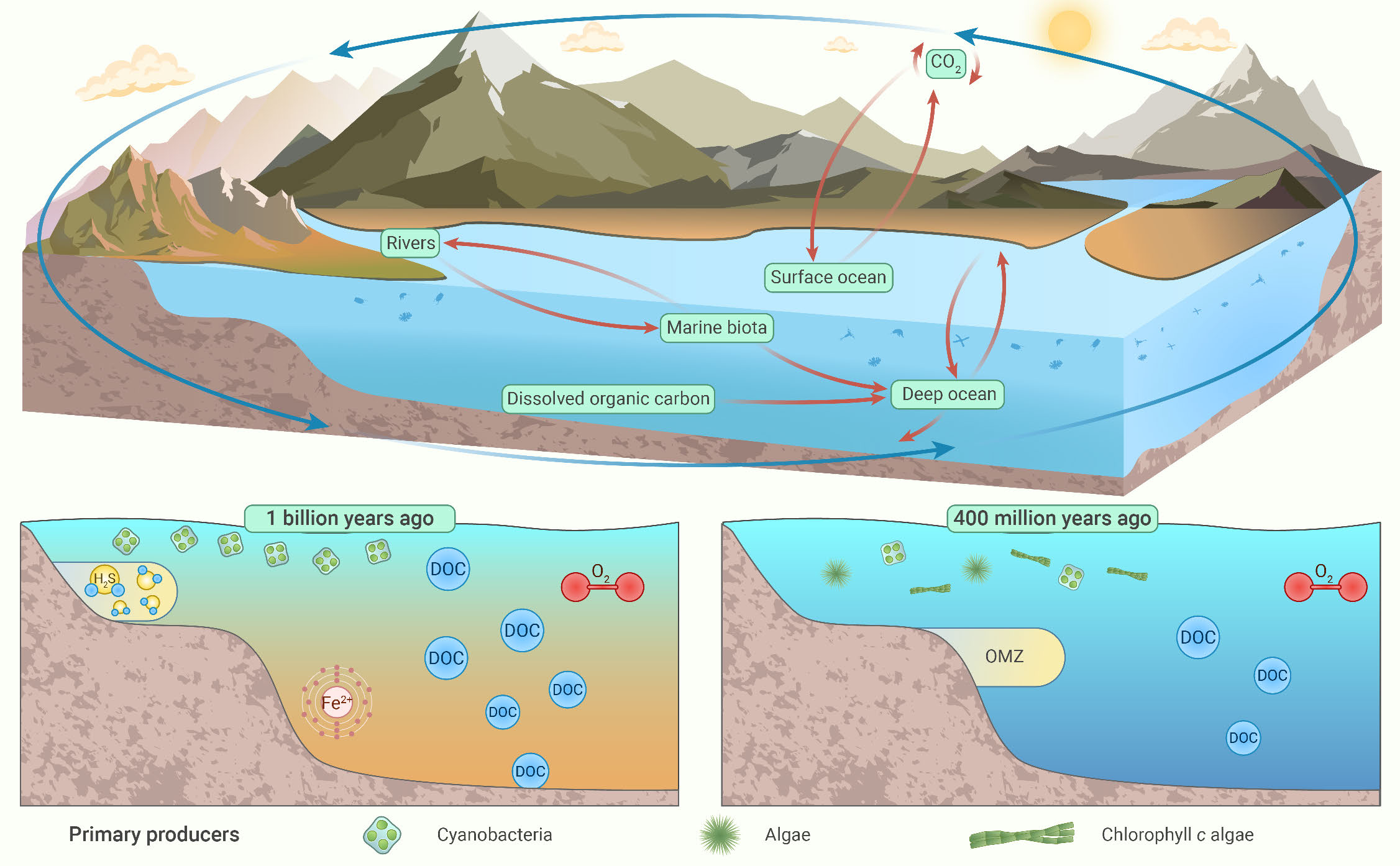 Carbonate–organic decoupling during the first Neoproterozoic carbon ...
