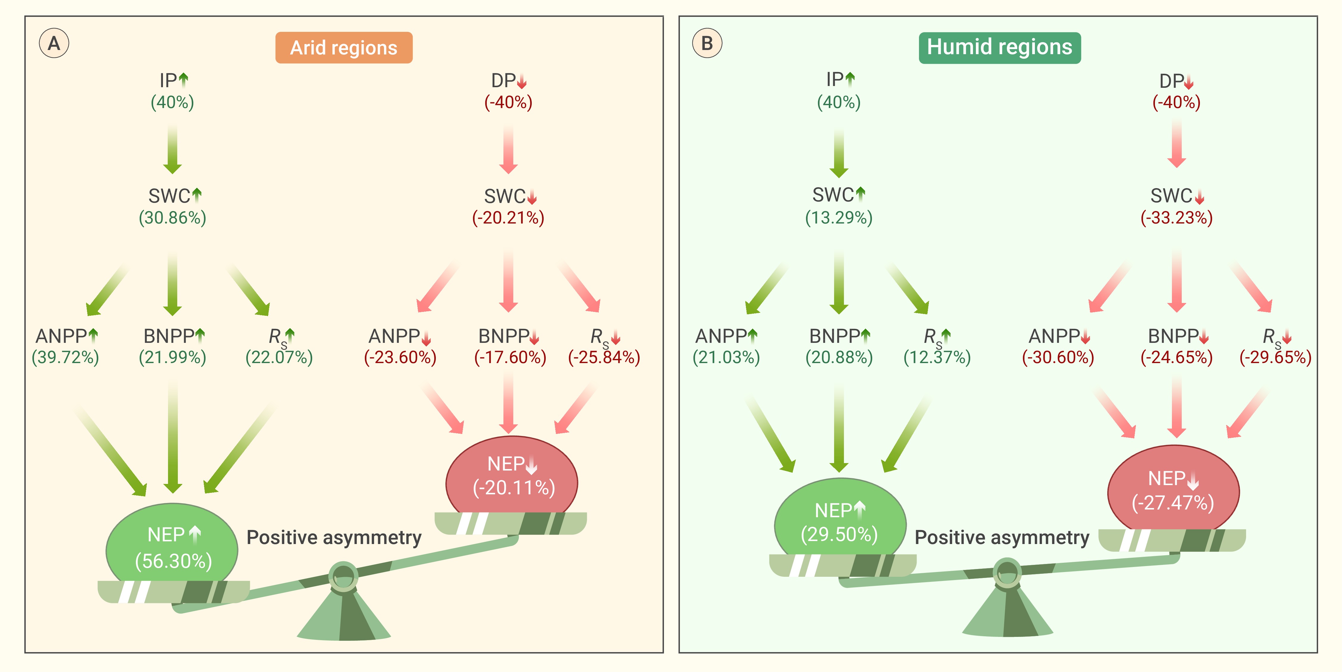 Positive asymmetric responses indicate larger carbon sink with increase ...