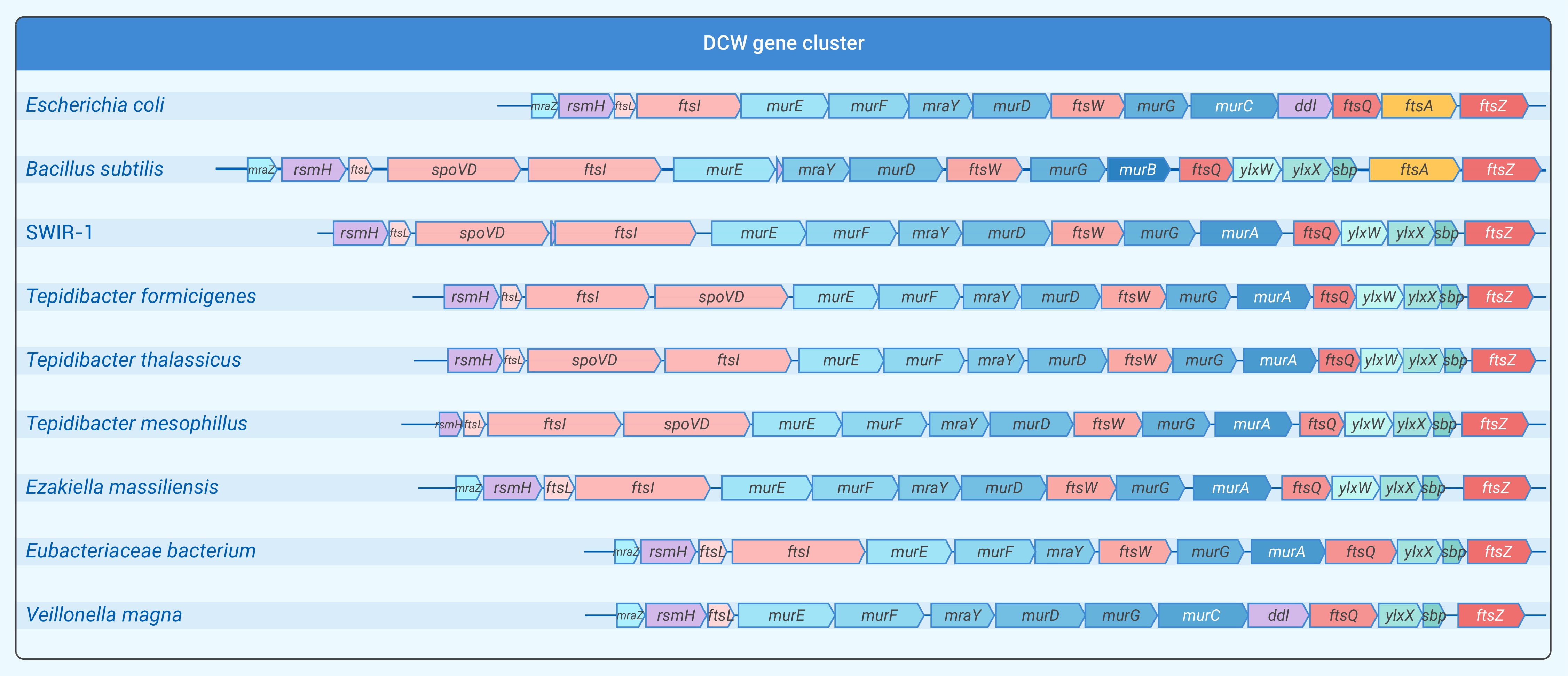 Illuminating a bacterial adaptation mechanism: Infrared-driven cell ...