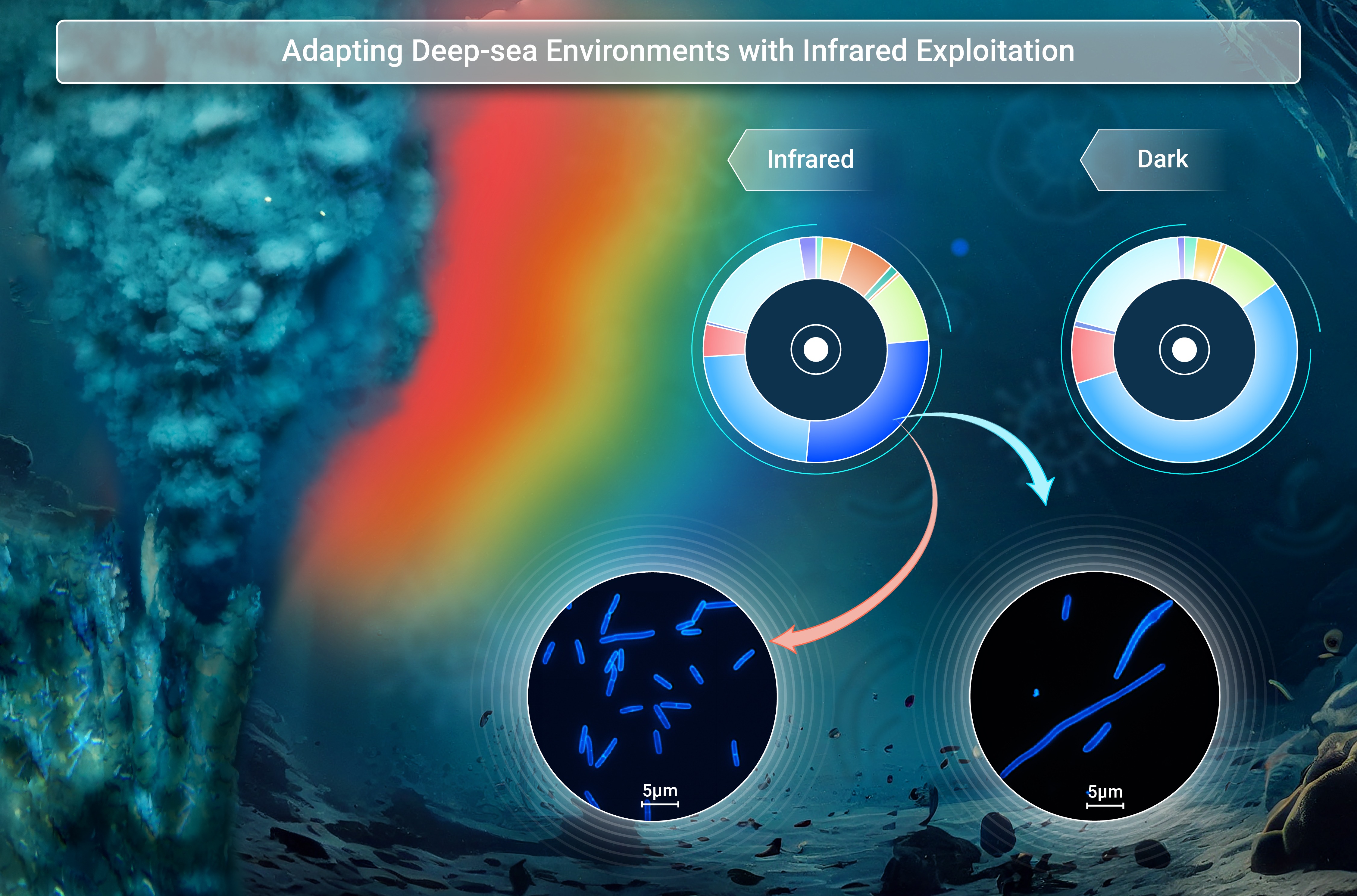 Illuminating a bacterial adaptation mechanism: Infrared-driven cell ...