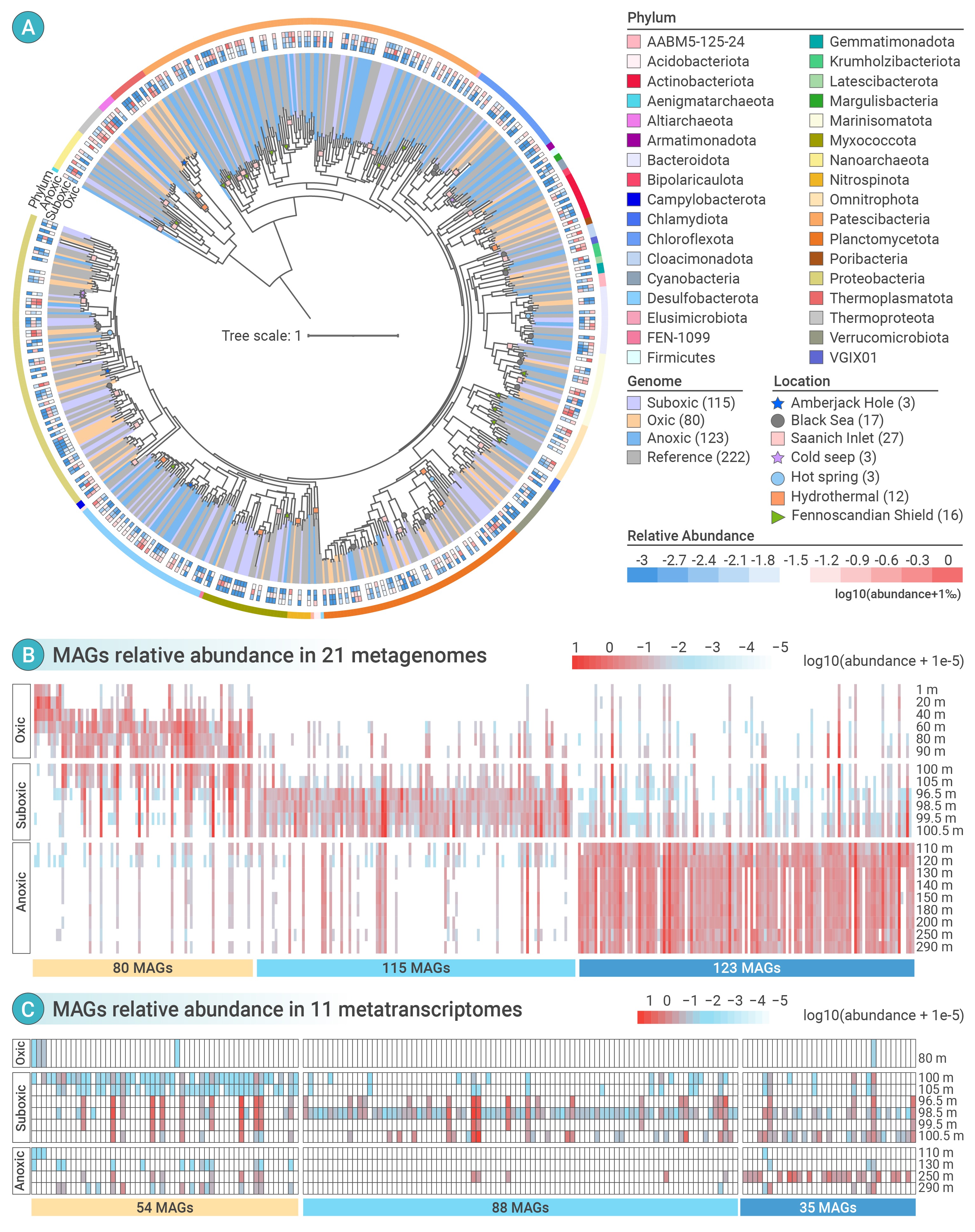 Microbial mediation of cryptic methane cycle in semiclosed marine water ...