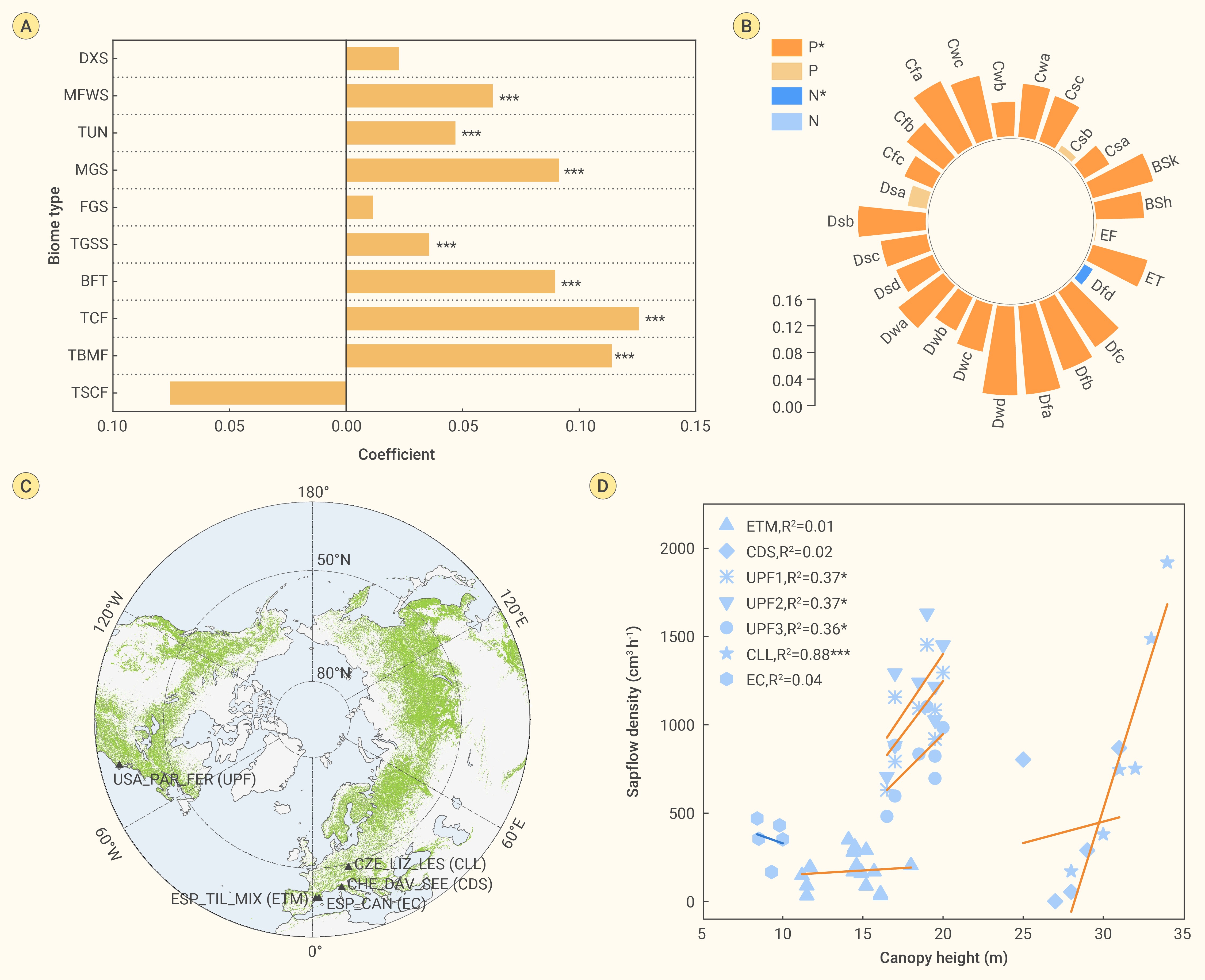How does canopy height regulate autumn photosynthetic phenology in the ...