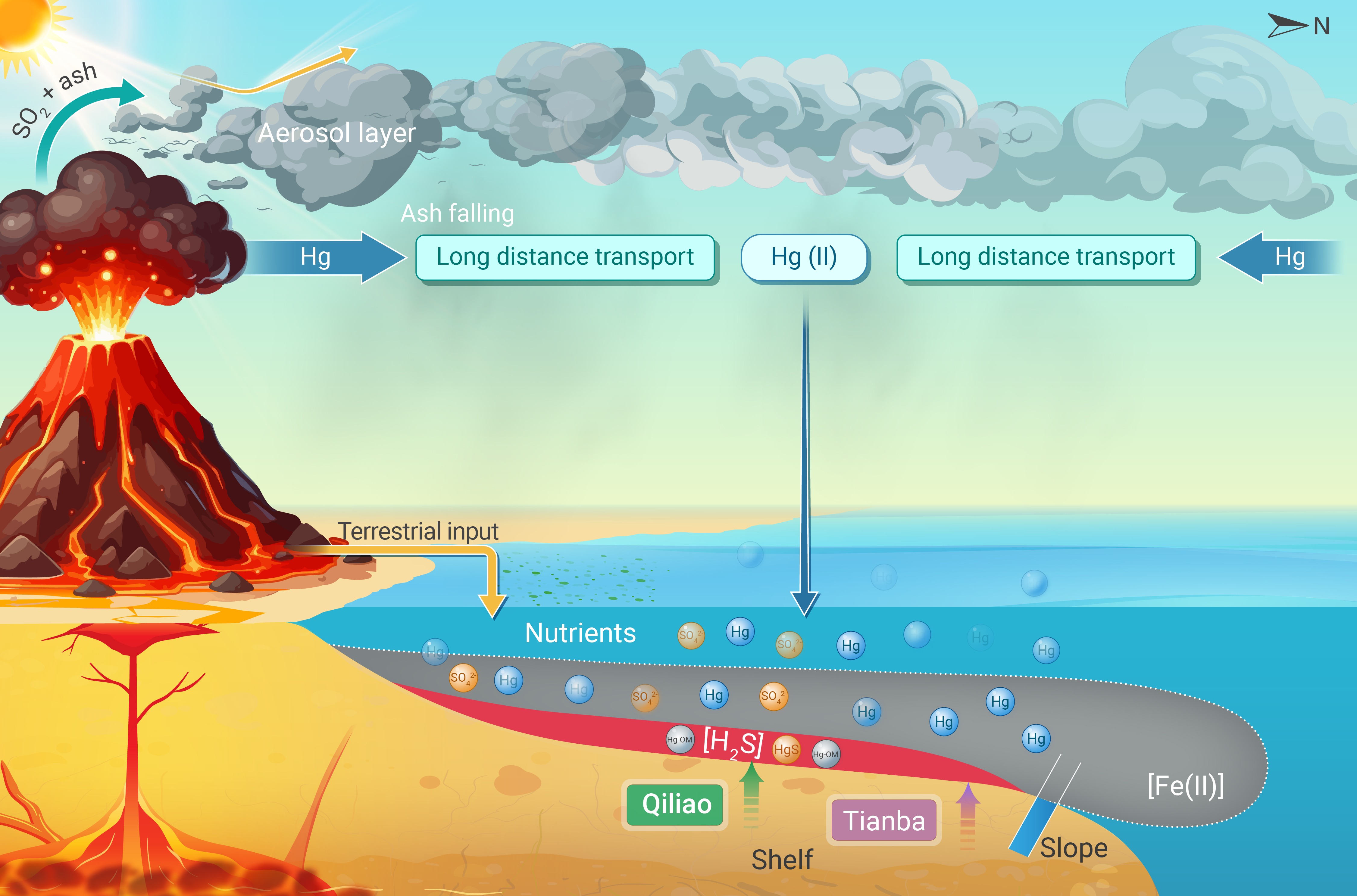 Mercury evidences link intensive volcanism to the Late Ordovician mass ...