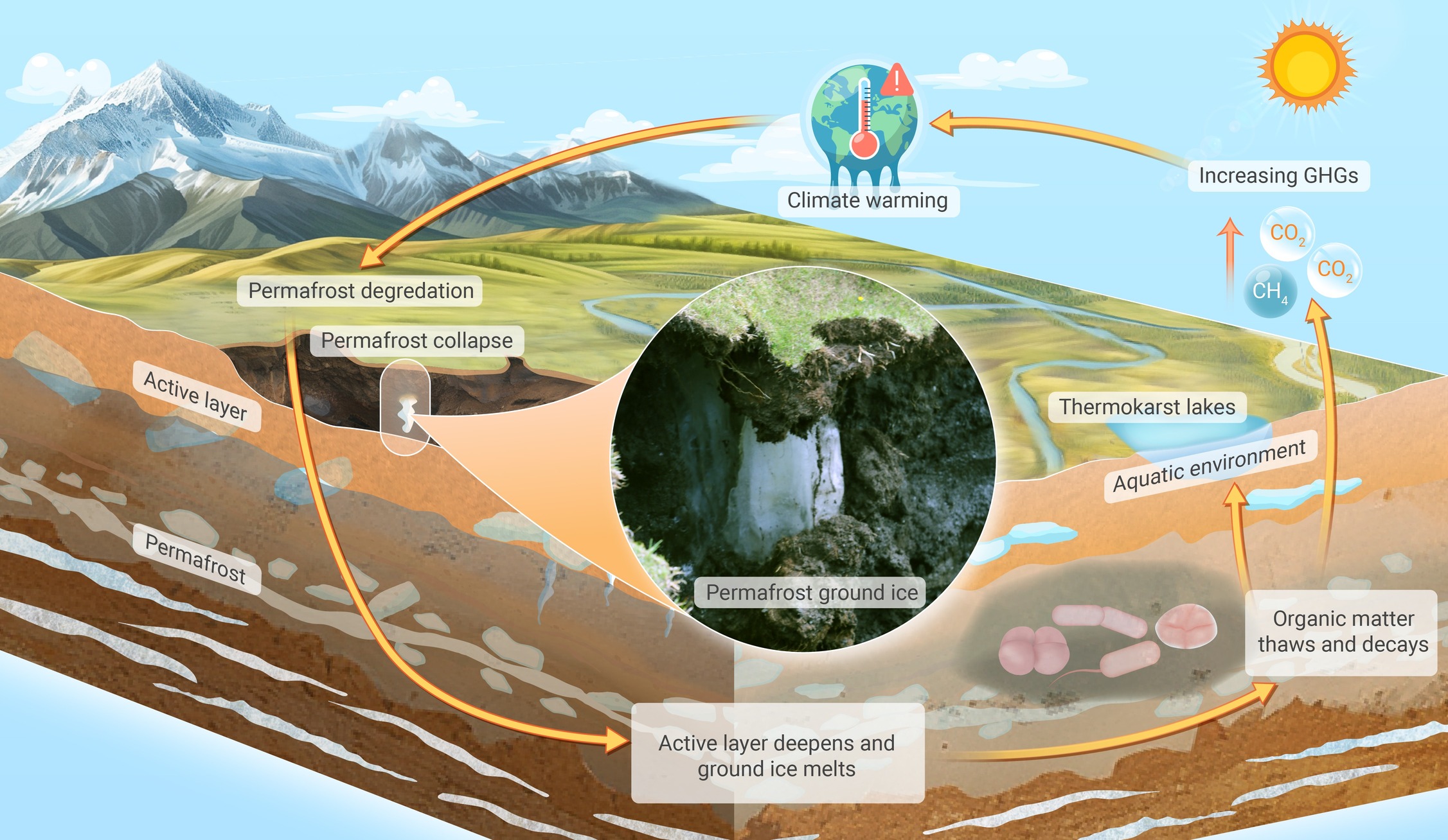 Permafrost ground ice modulating soil carbon emissions