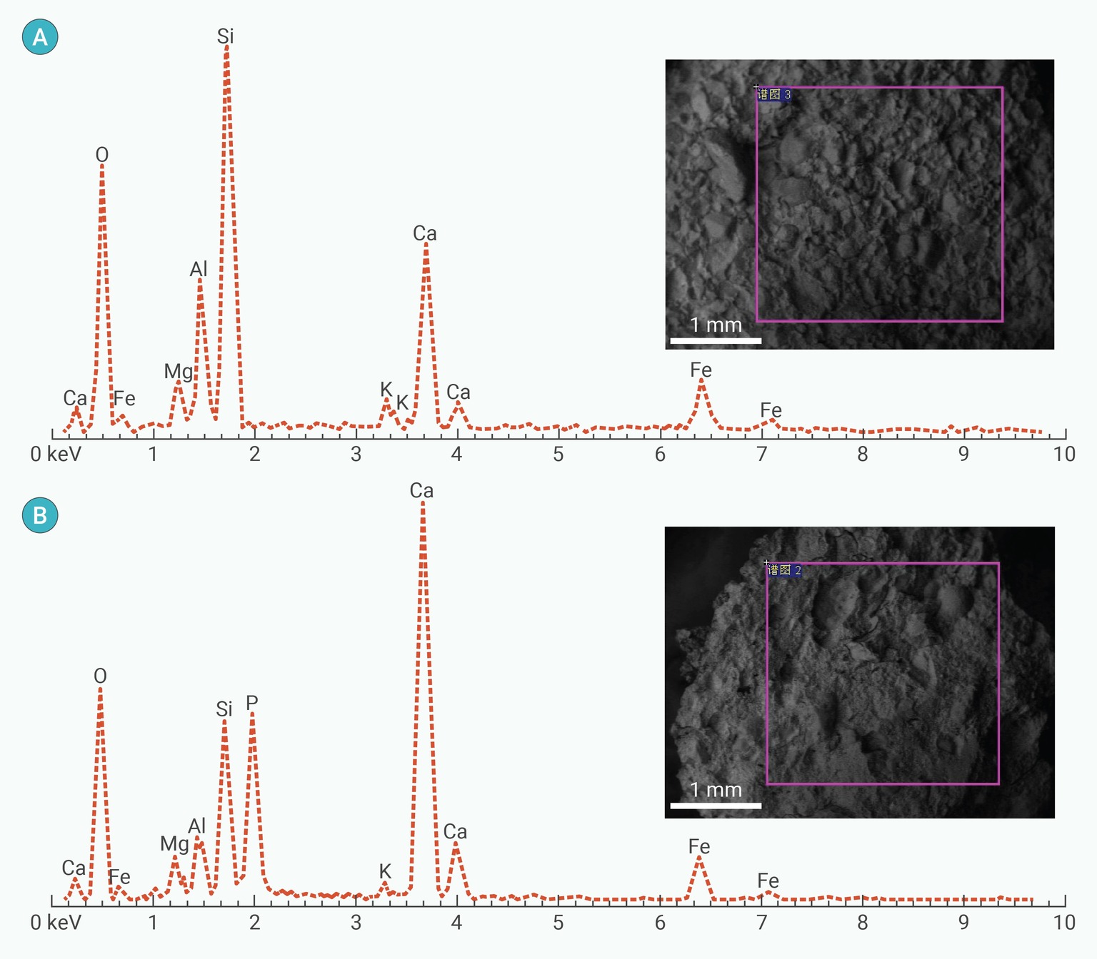 Direct evidence of carnivory in the early-diverging Alvarezsaurian Bannykus