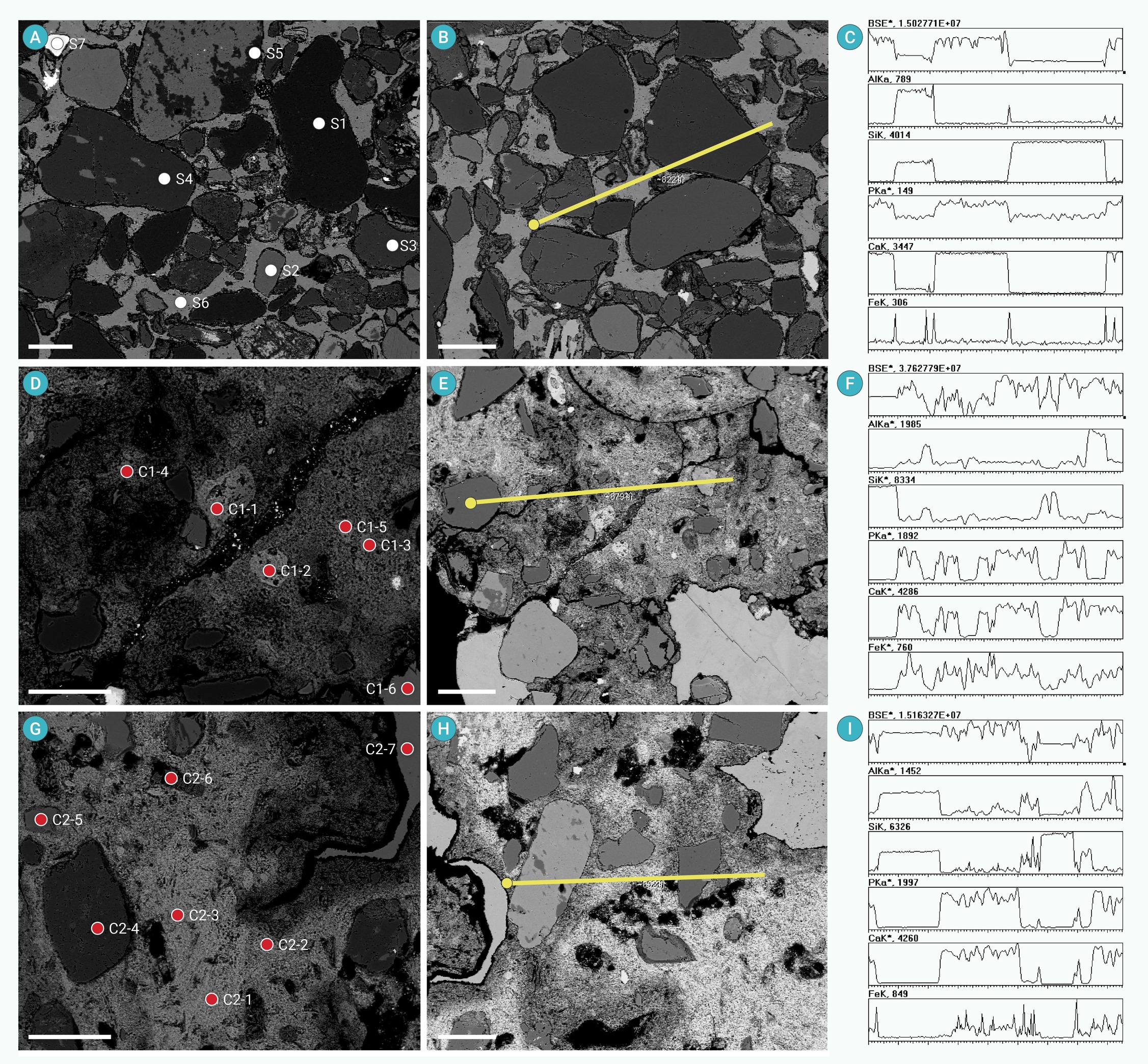 Direct evidence of carnivory in the early-diverging Alvarezsaurian Bannykus