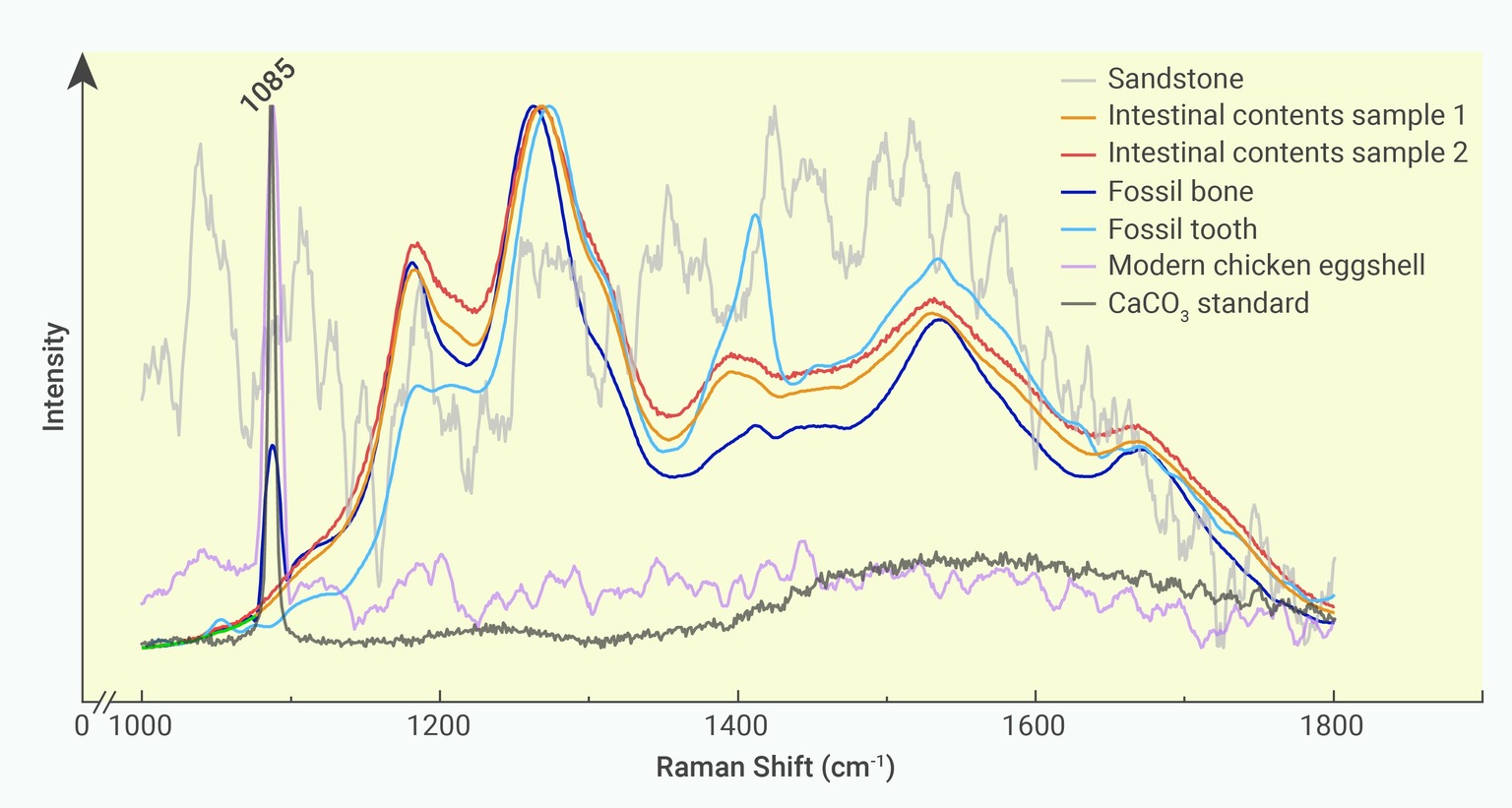 Direct evidence of carnivory in the early-diverging Alvarezsaurian Bannykus