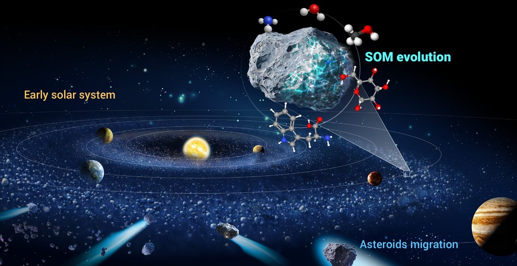 Soluble organic matter evolution during aqueous alteration in ...