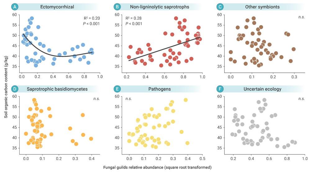 The trade-offs among fungal guilds are associated with soil organic ...