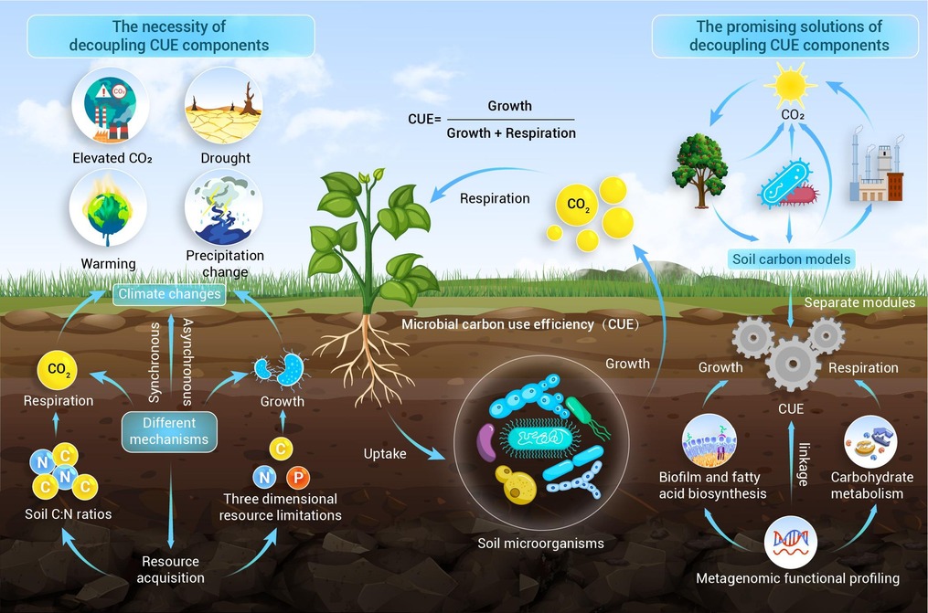 Digging deeper into microbial carbon use efficiency in soil ...