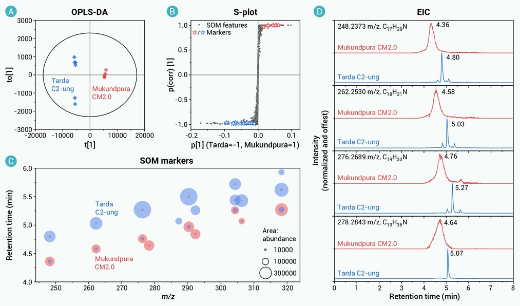 Soluble organic matter evolution during aqueous alteration in ...