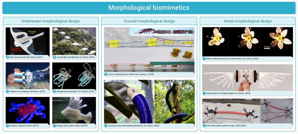 Morphological design methodologies of soft robots