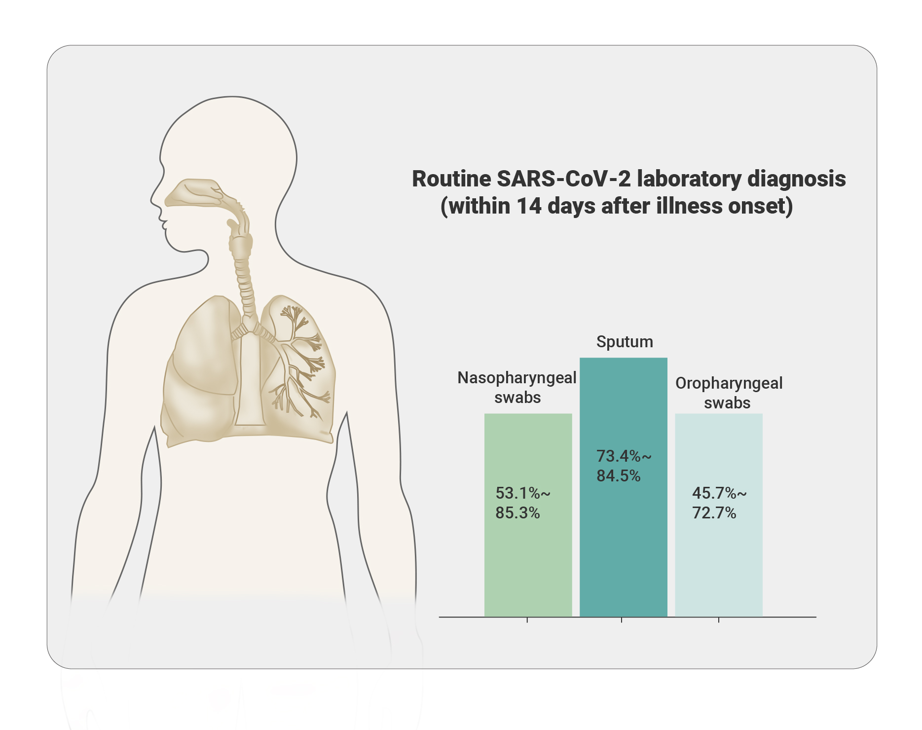 Laboratory Diagnosis and Monitoring the Viral Shedding of SARS-CoV-2 ...