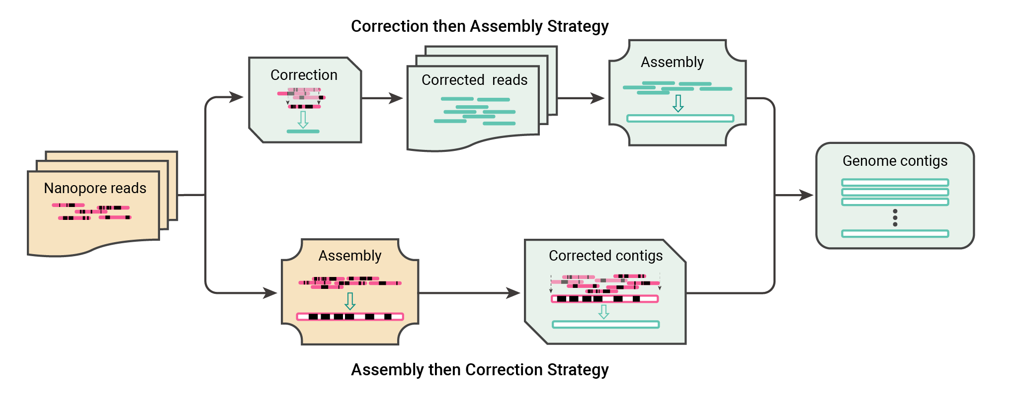 Applications and potentials of nanopore sequencing in the (epi)genome ...