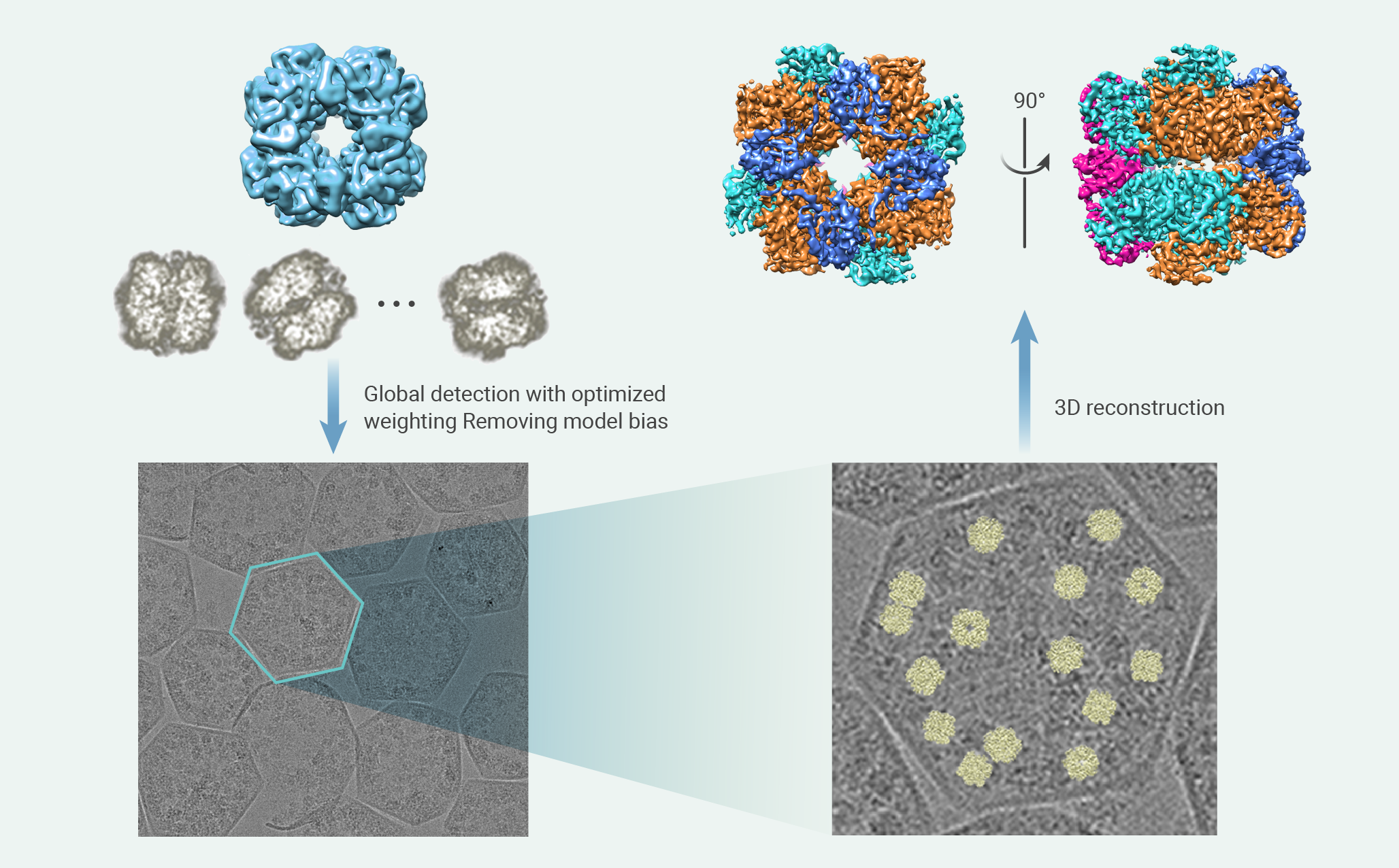 Determining structures in a native environment using single-particle ...