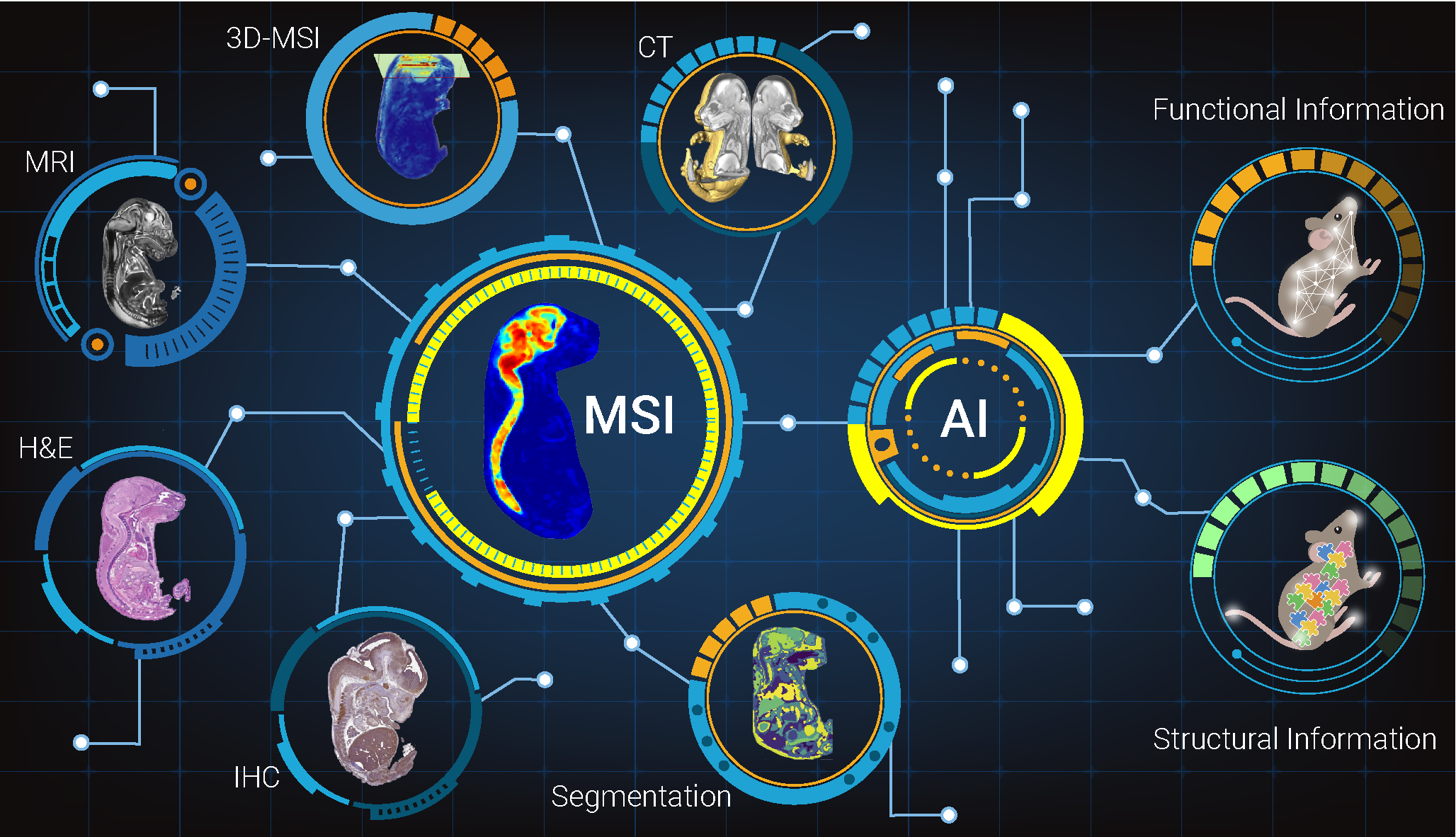 Mass spectrometry imaging-based multi-modal technique: Next-generation ...
