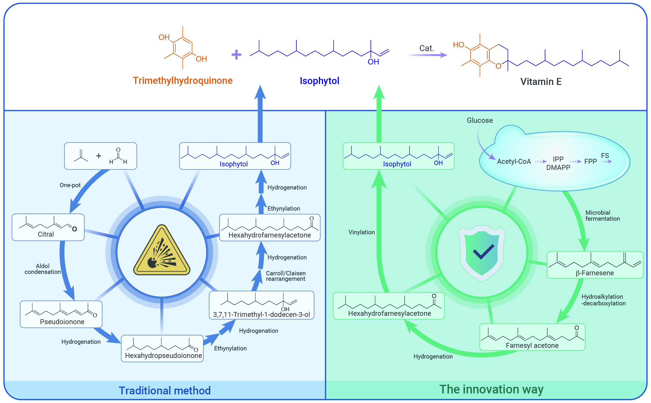 Revolution of vitamin E production by starting from microbial fermented ...