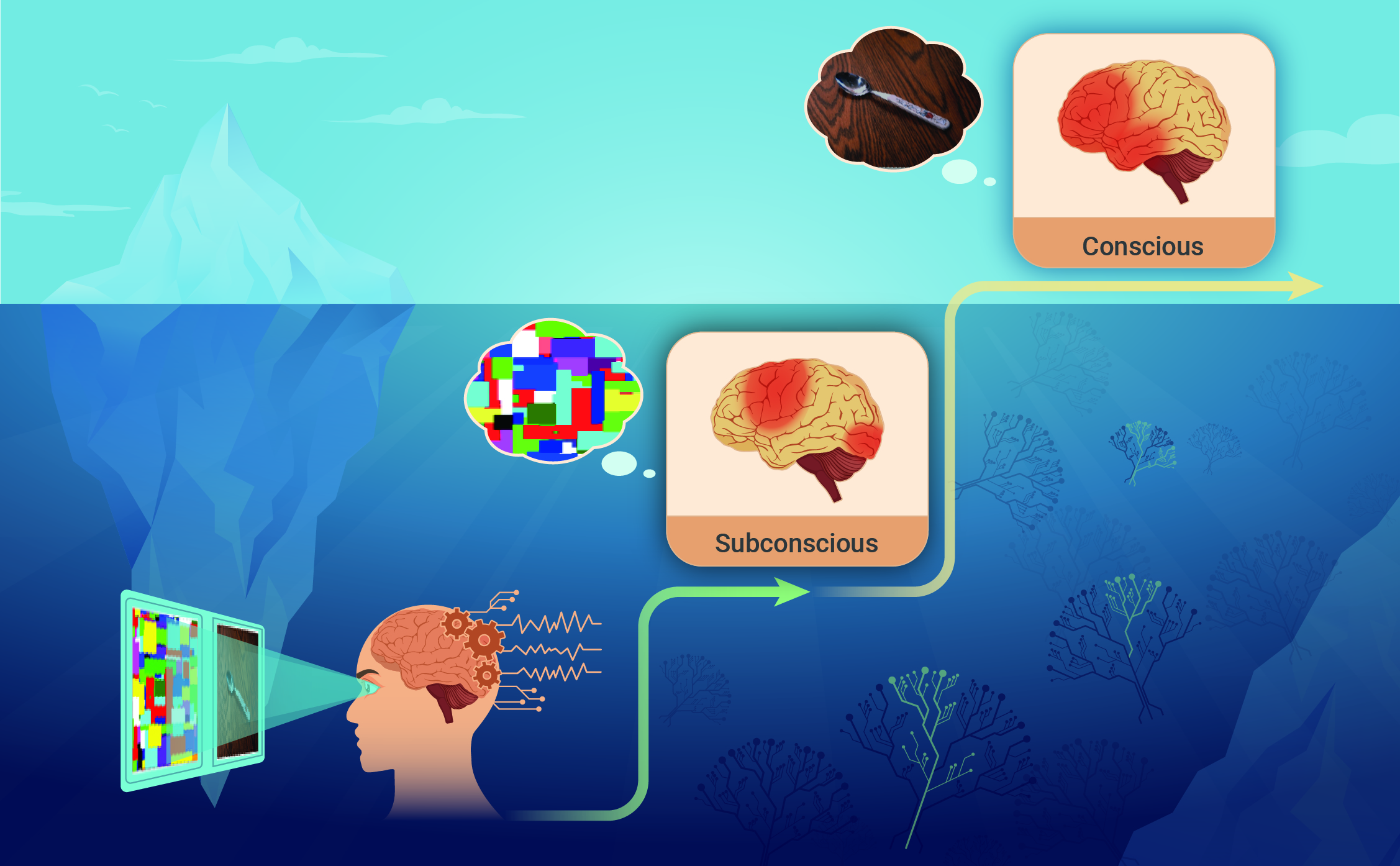 Mapping the emergence of visual consciousness in the human brain via ...