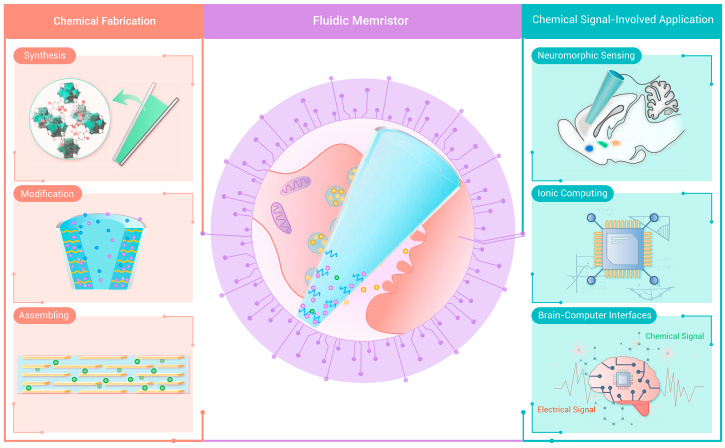 Fluidic memristor: Bringing chemistry to neuromorphic devices