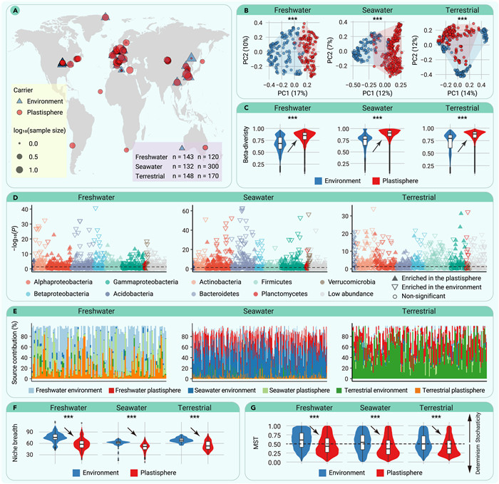 Ecology and risks of the global plastisphere as a newly expanding ...