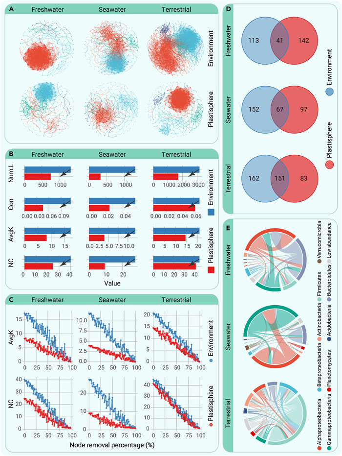 Ecology and risks of the global plastisphere as a newly expanding ...