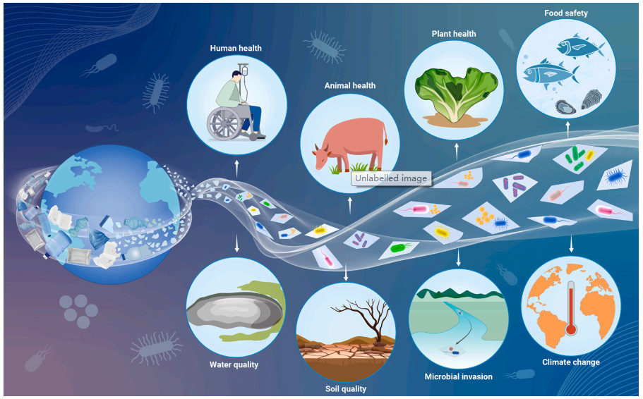 Ecology and risks of the global plastisphere as a newly expanding ...