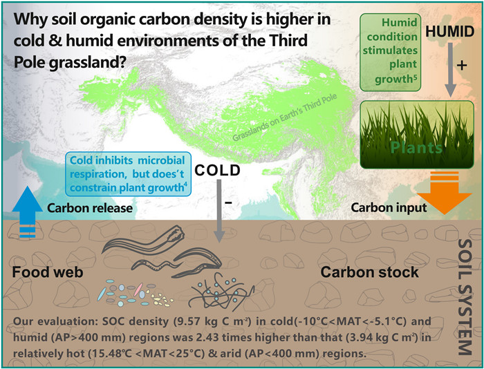 Cold and humid climates enrich soil carbon stock in the Third Pole ...