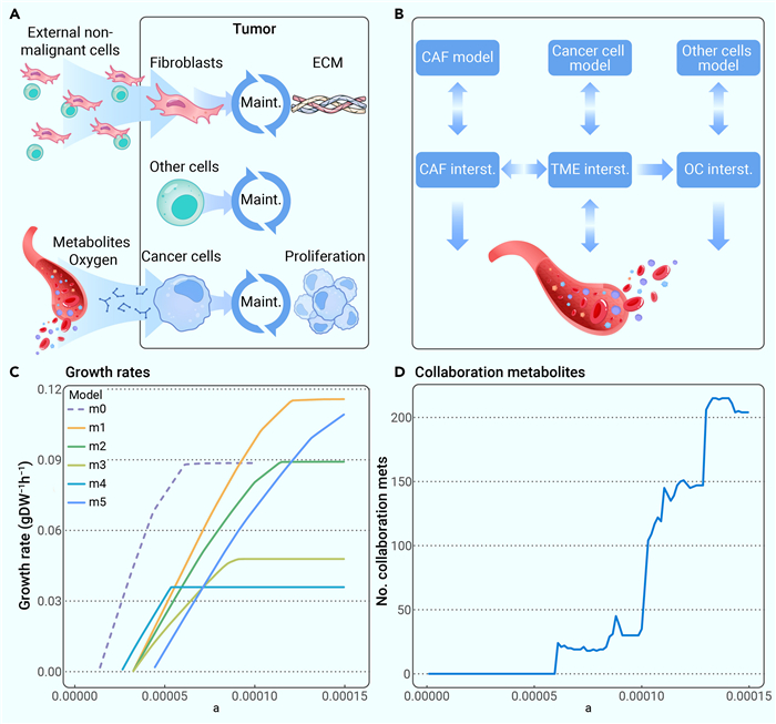 Tumor Microenvironment