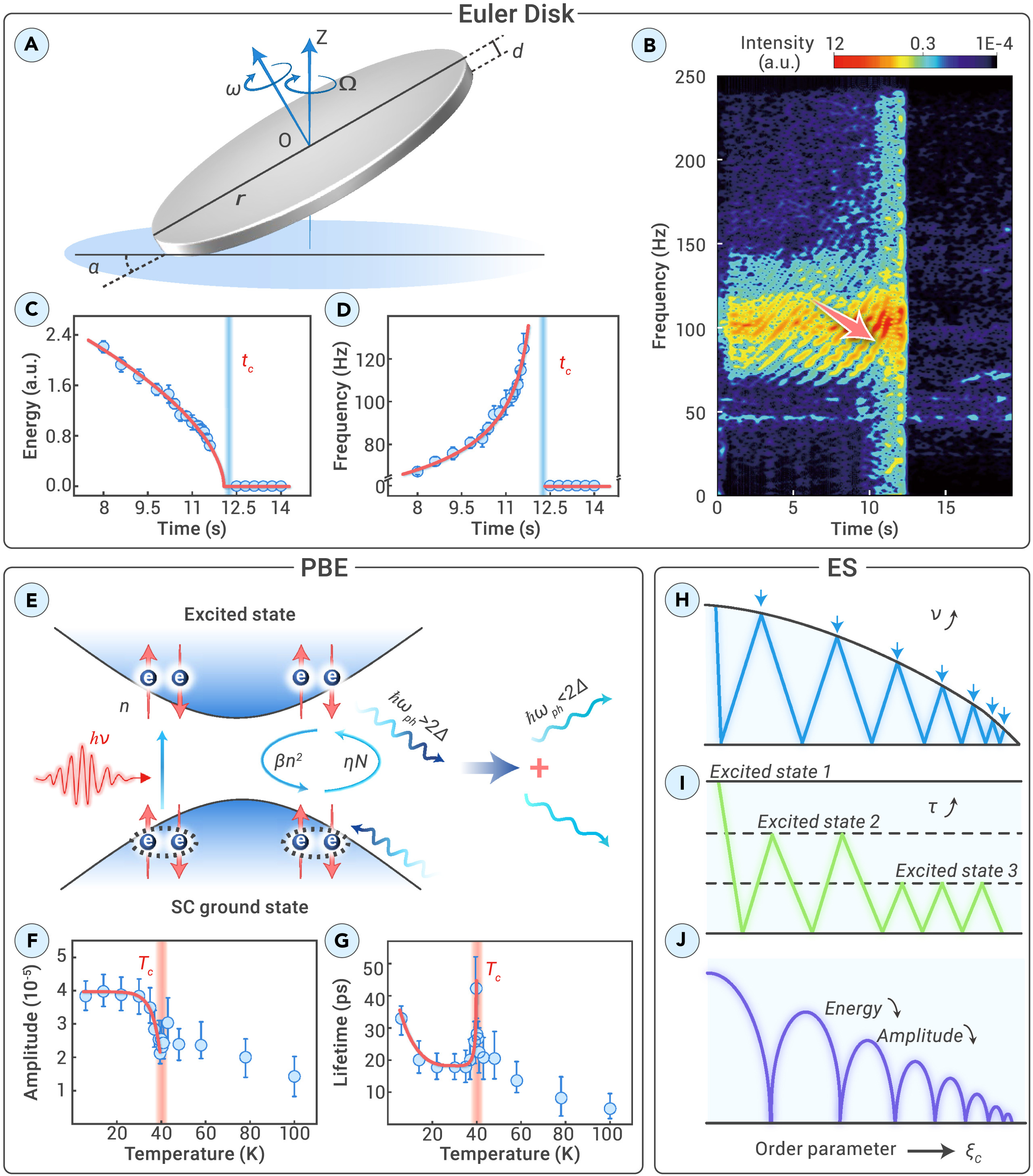 From Euler disk to phonon bottleneck effect: Excited state physics