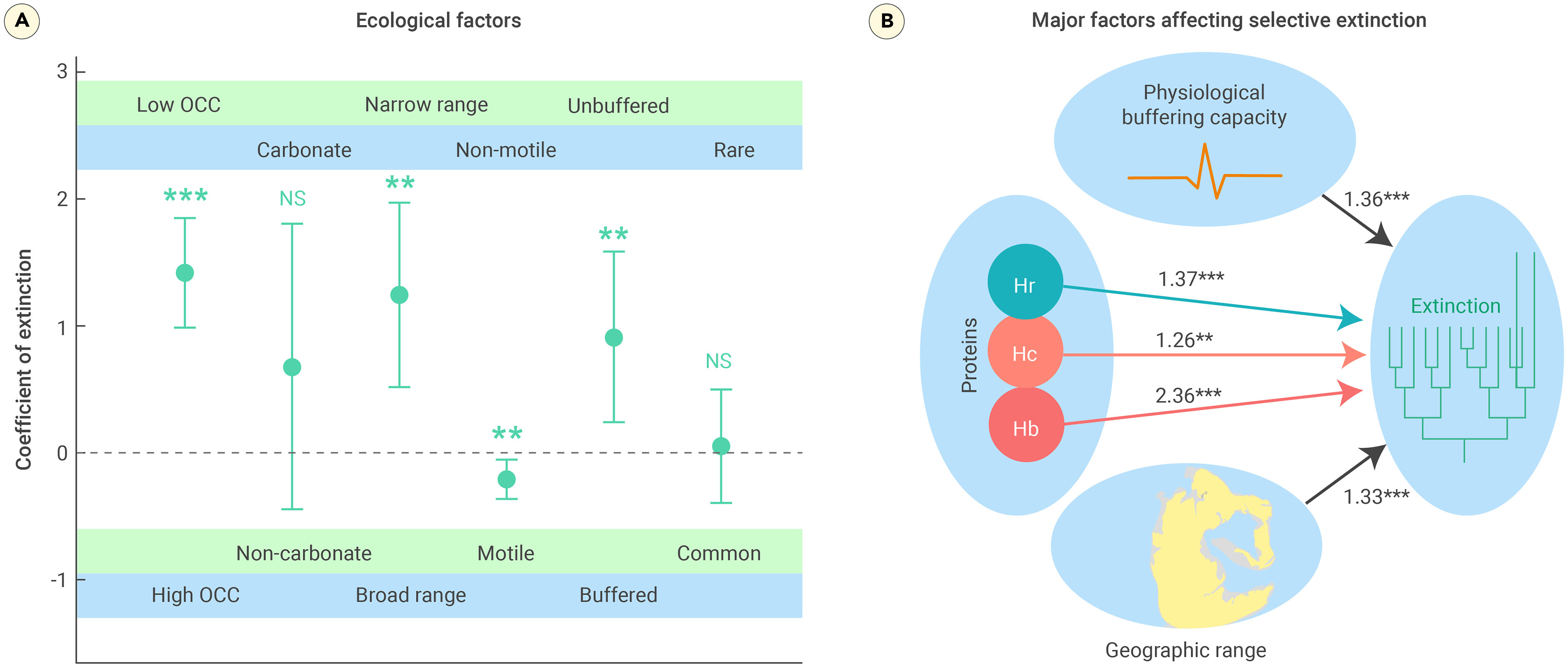 Respiratory protein-driven selectivity during the Permian-Triassic mass extinction
