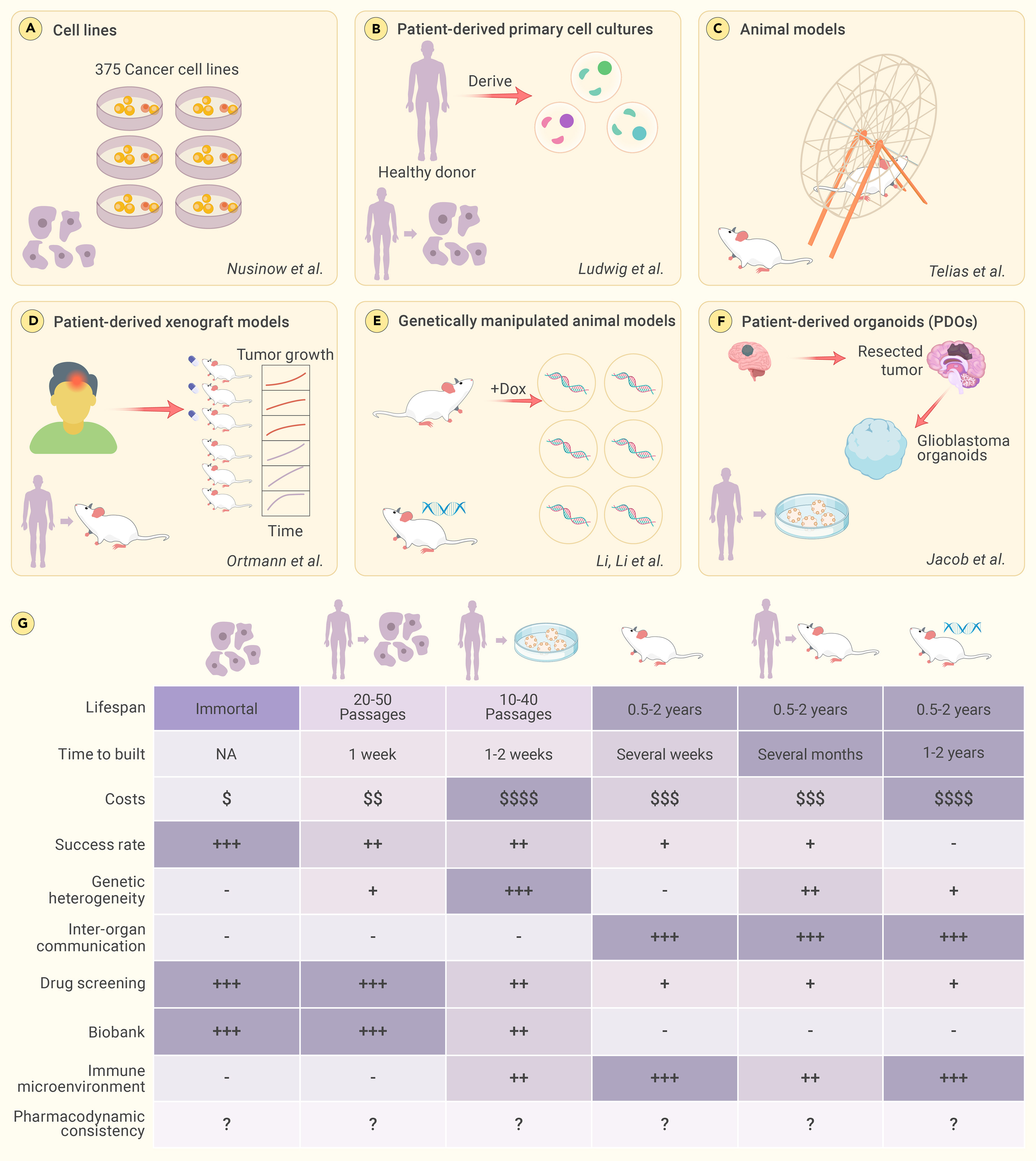 Landscape of human organoids: Ideal model in clinics and research