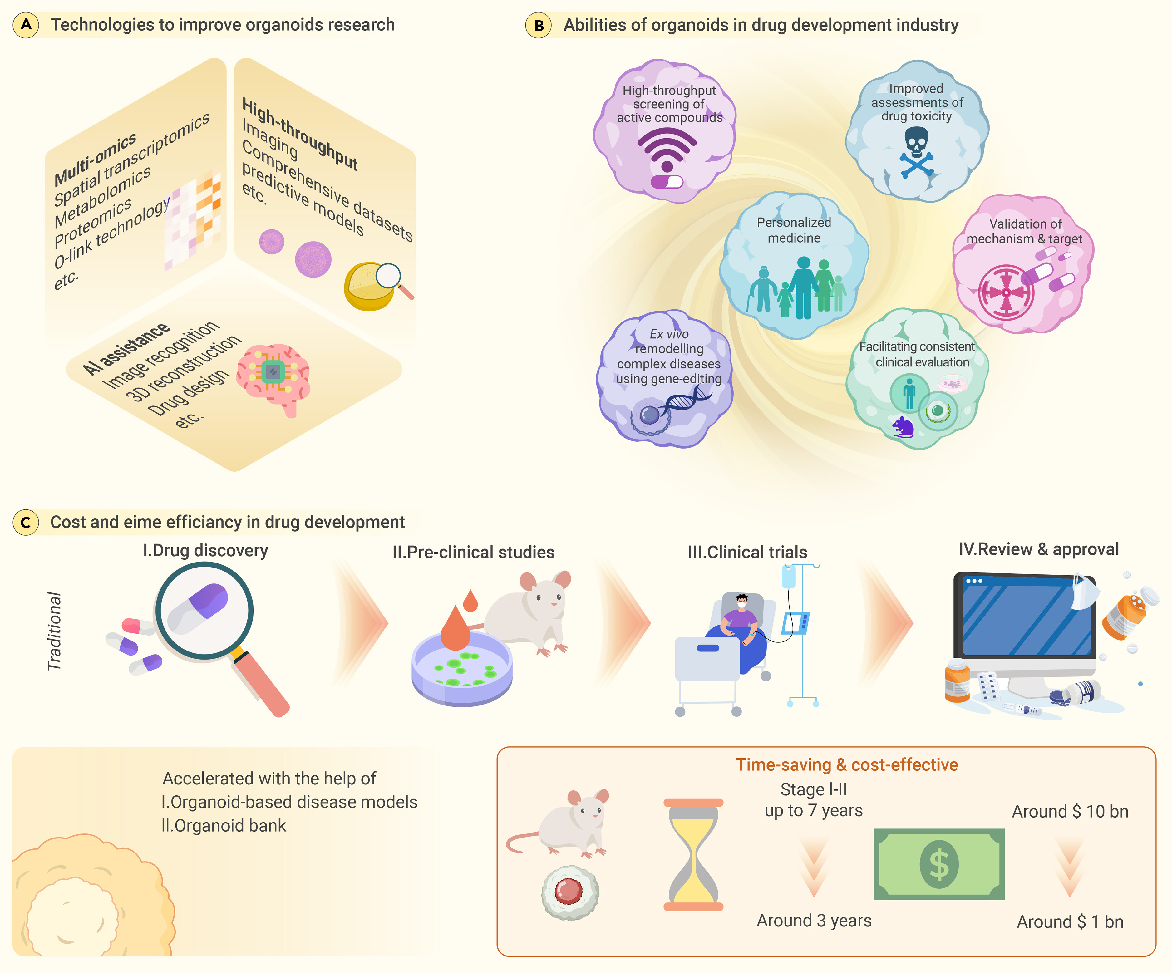 Landscape of human organoids: Ideal model in clinics and research