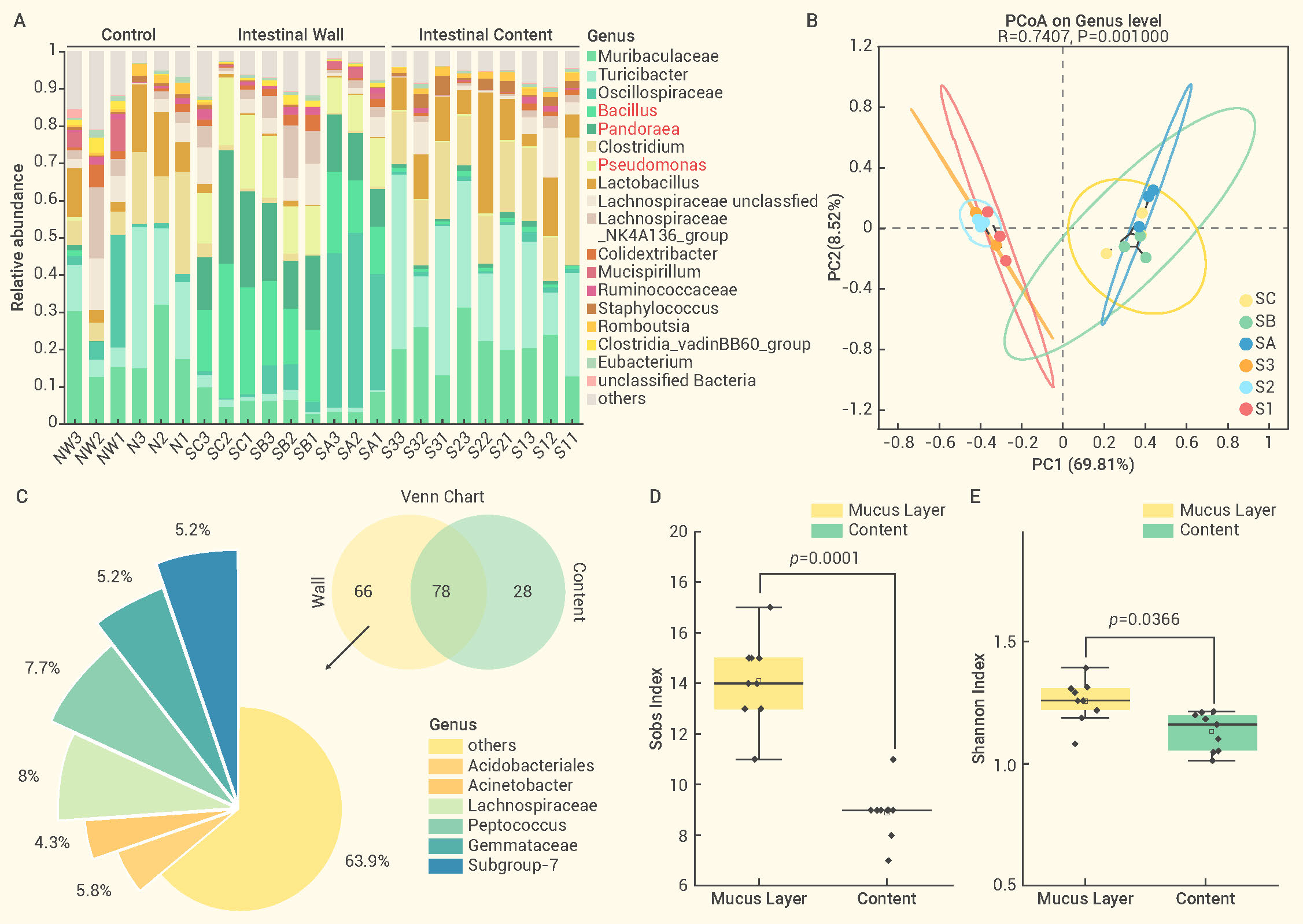 Absolute quantification of the microbiota spatial distribution in the ...
