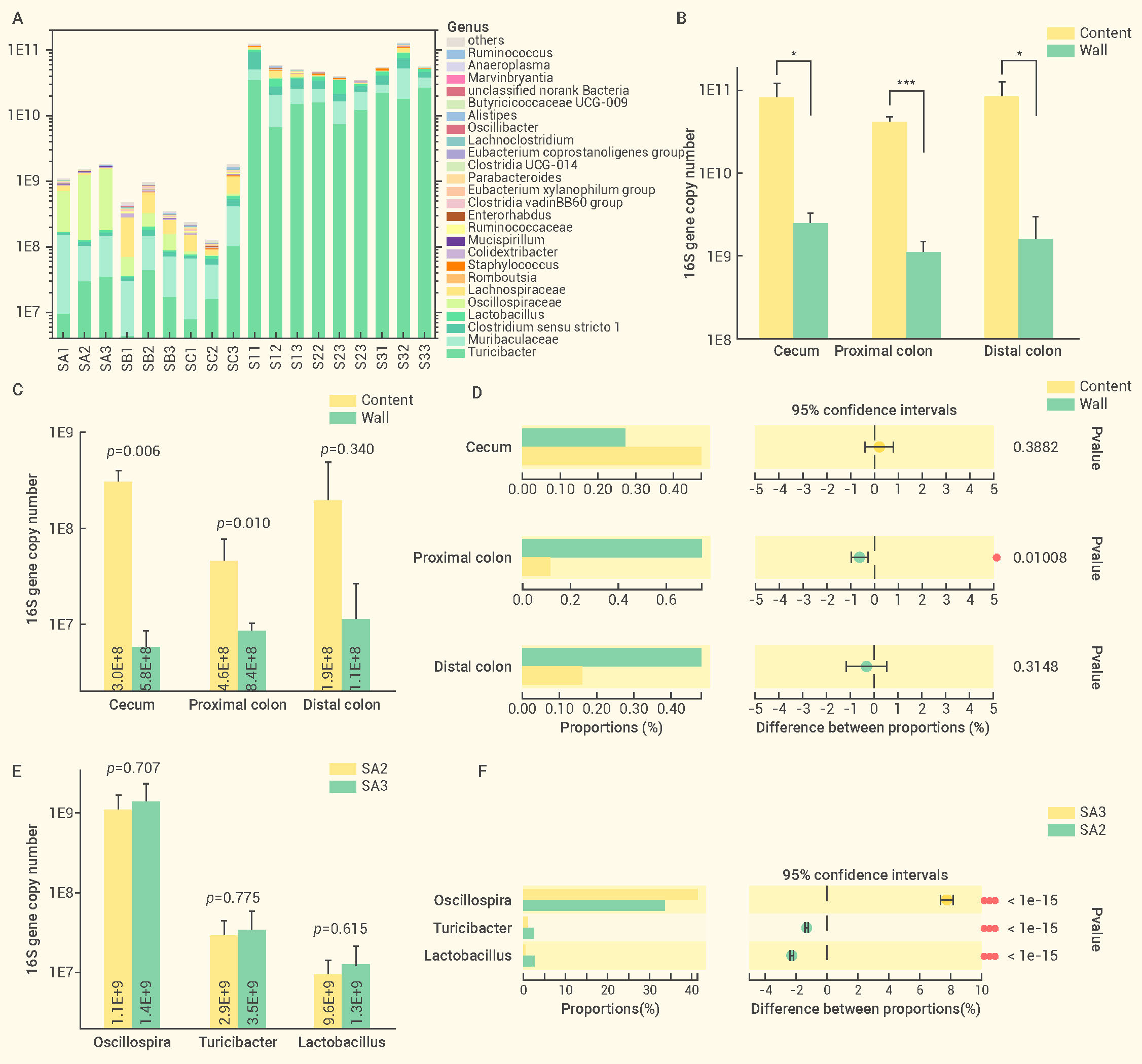 Absolute quantification of the microbiota spatial distribution in the ...