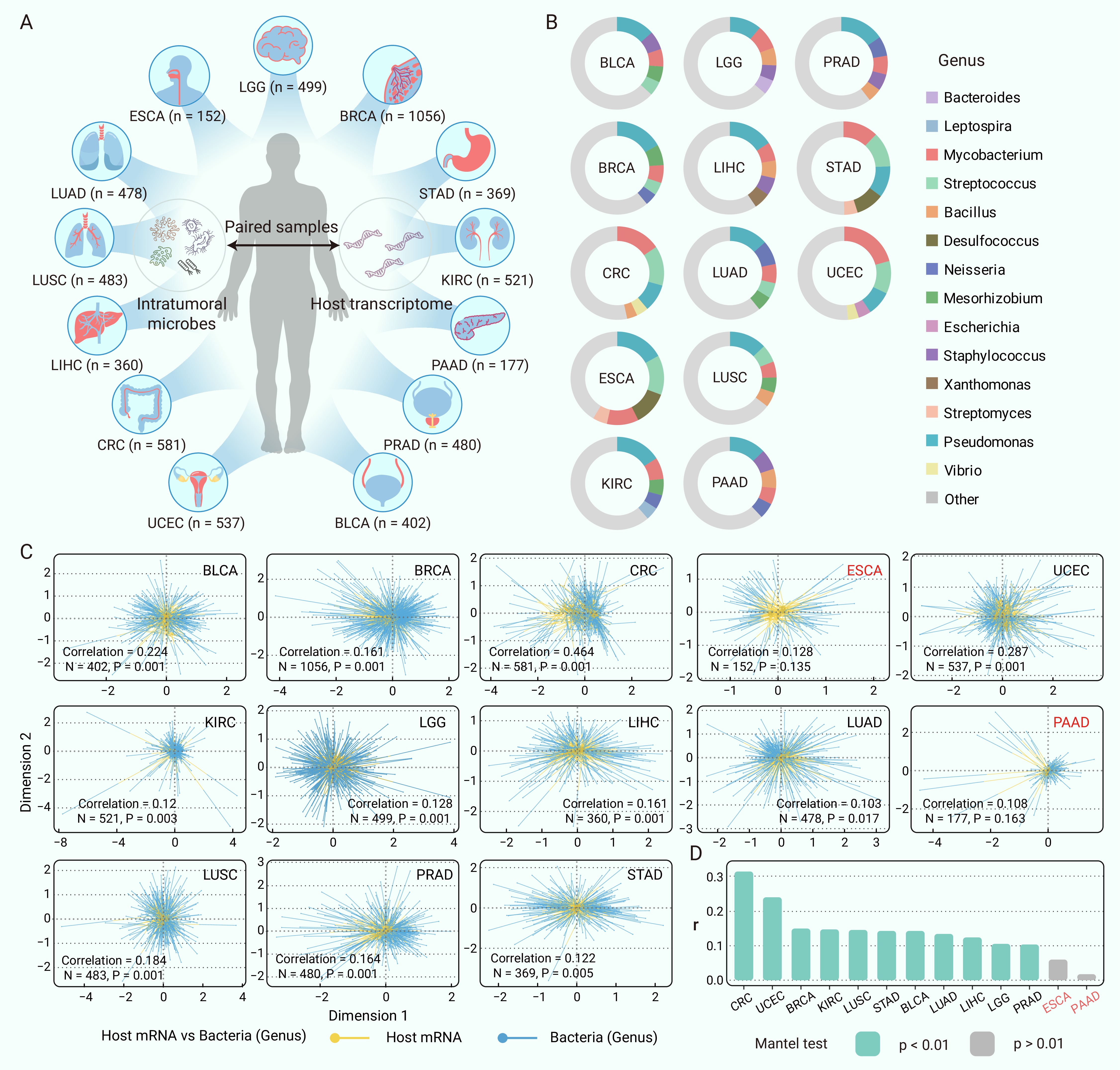 Tumor microenvironment interplay amid microbial community, host gene ...