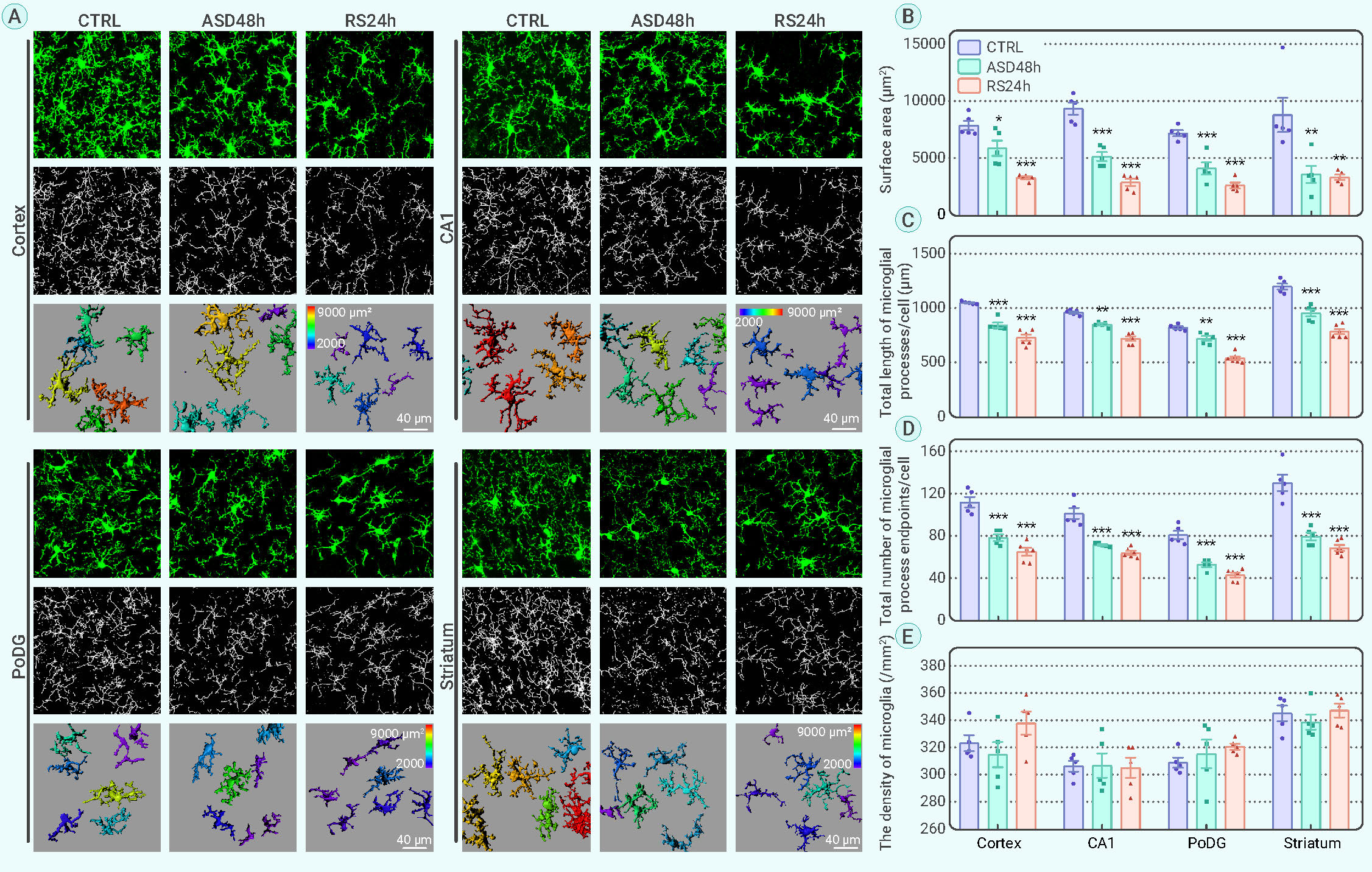 Sustained microglial activation and accelerated elimination of ...