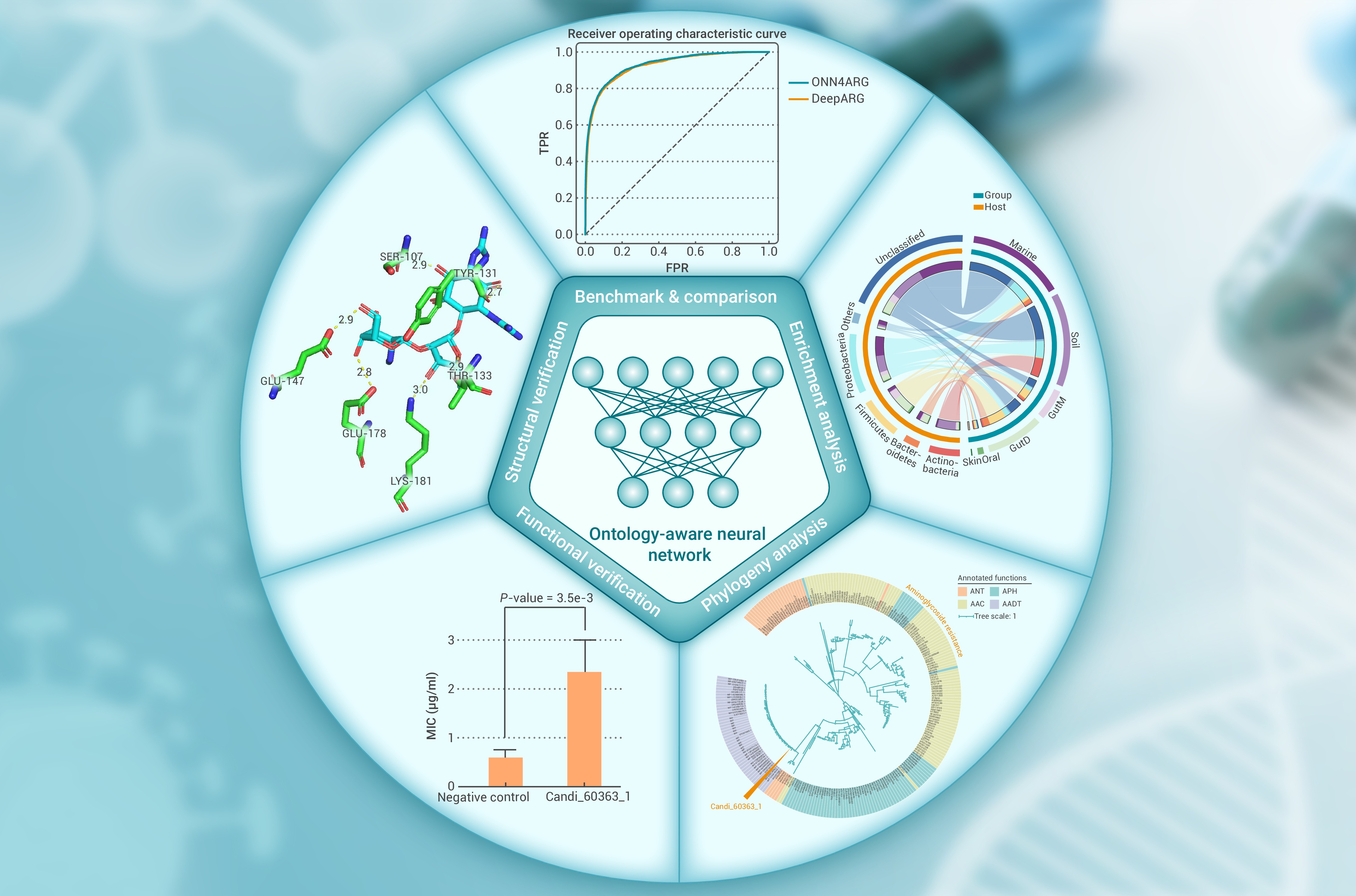 Comprehensive profiling of antibiotic resistance genes in diverse ...