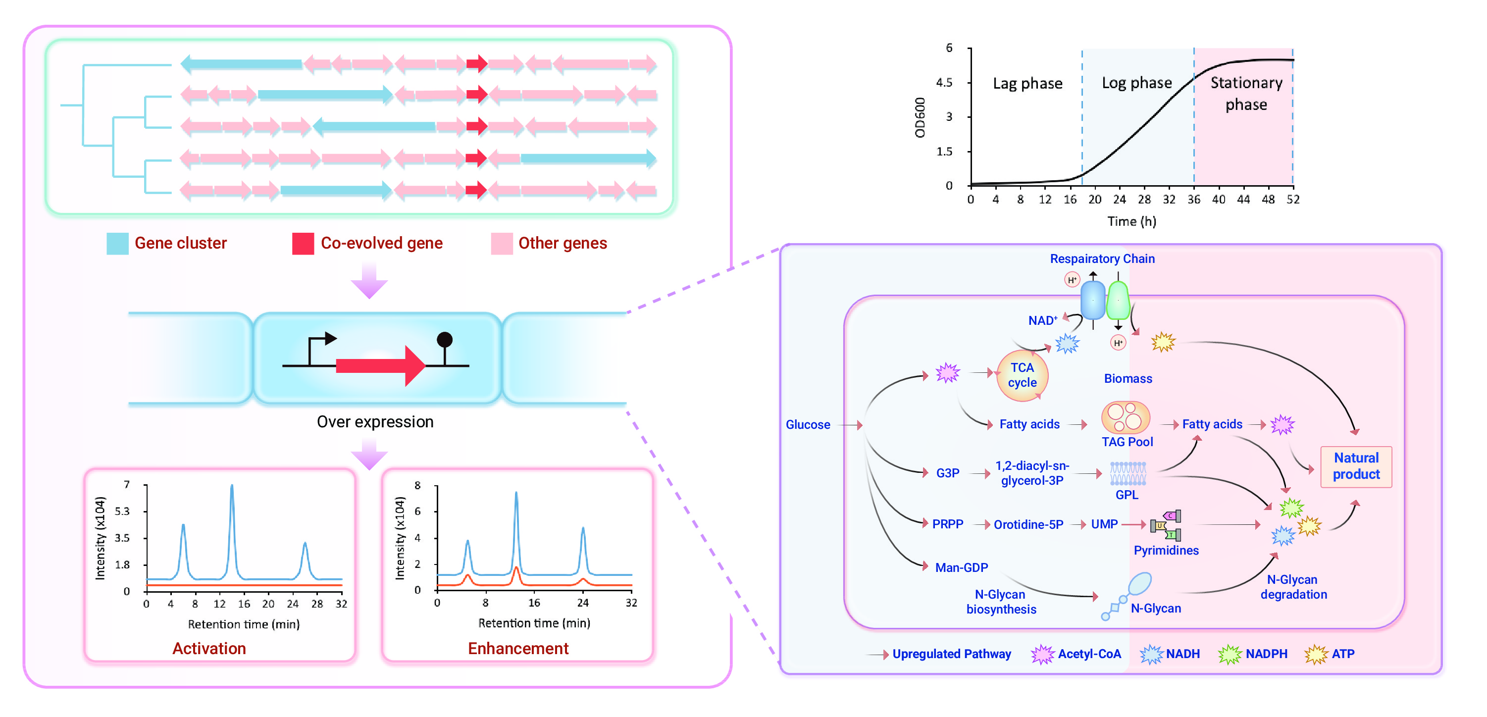Co-evolve strategy for the discovery of genetic “dark matter”