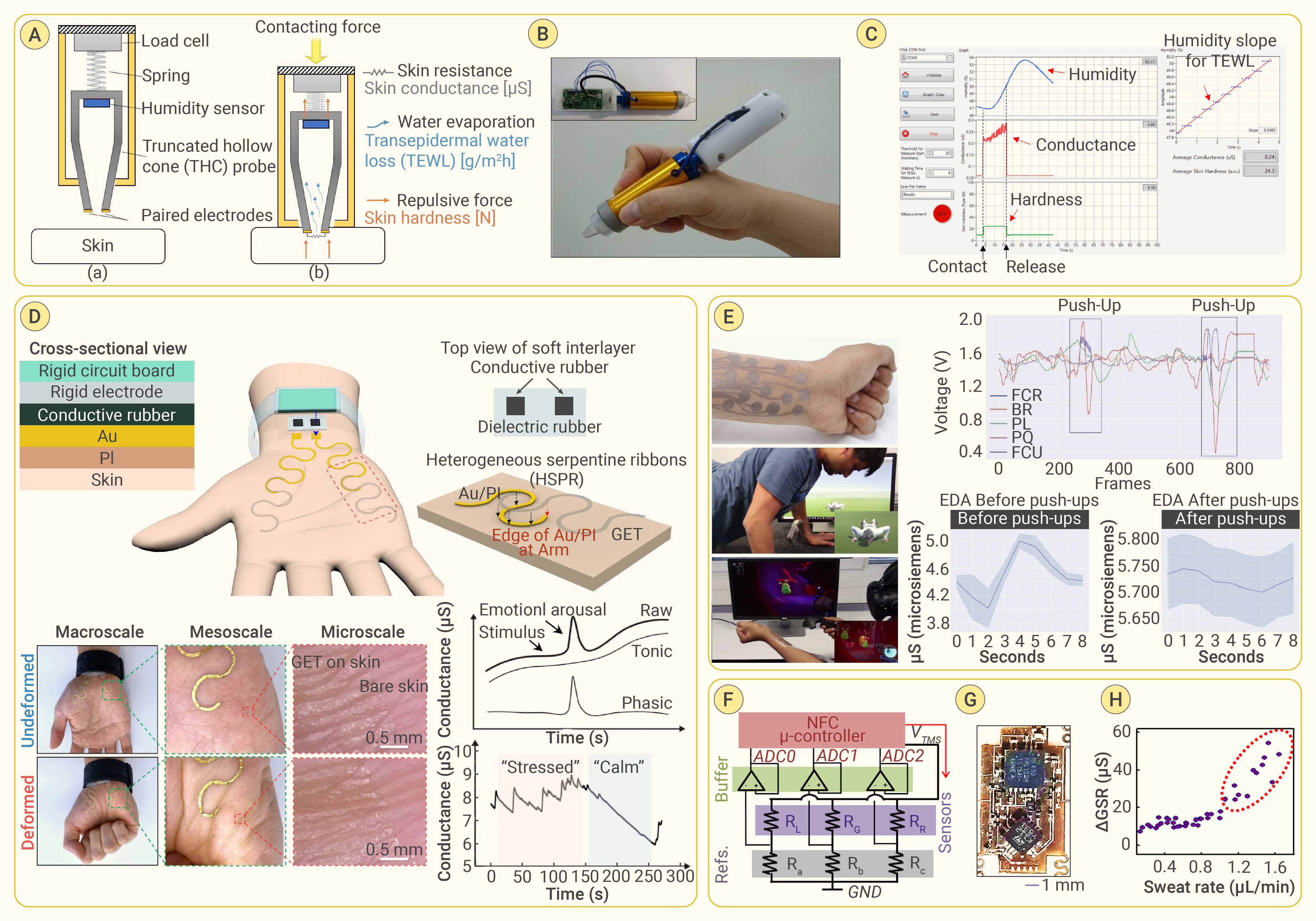 Electrodermal activity and its molecular mechanisms: Unraveling insights into skin diseases
