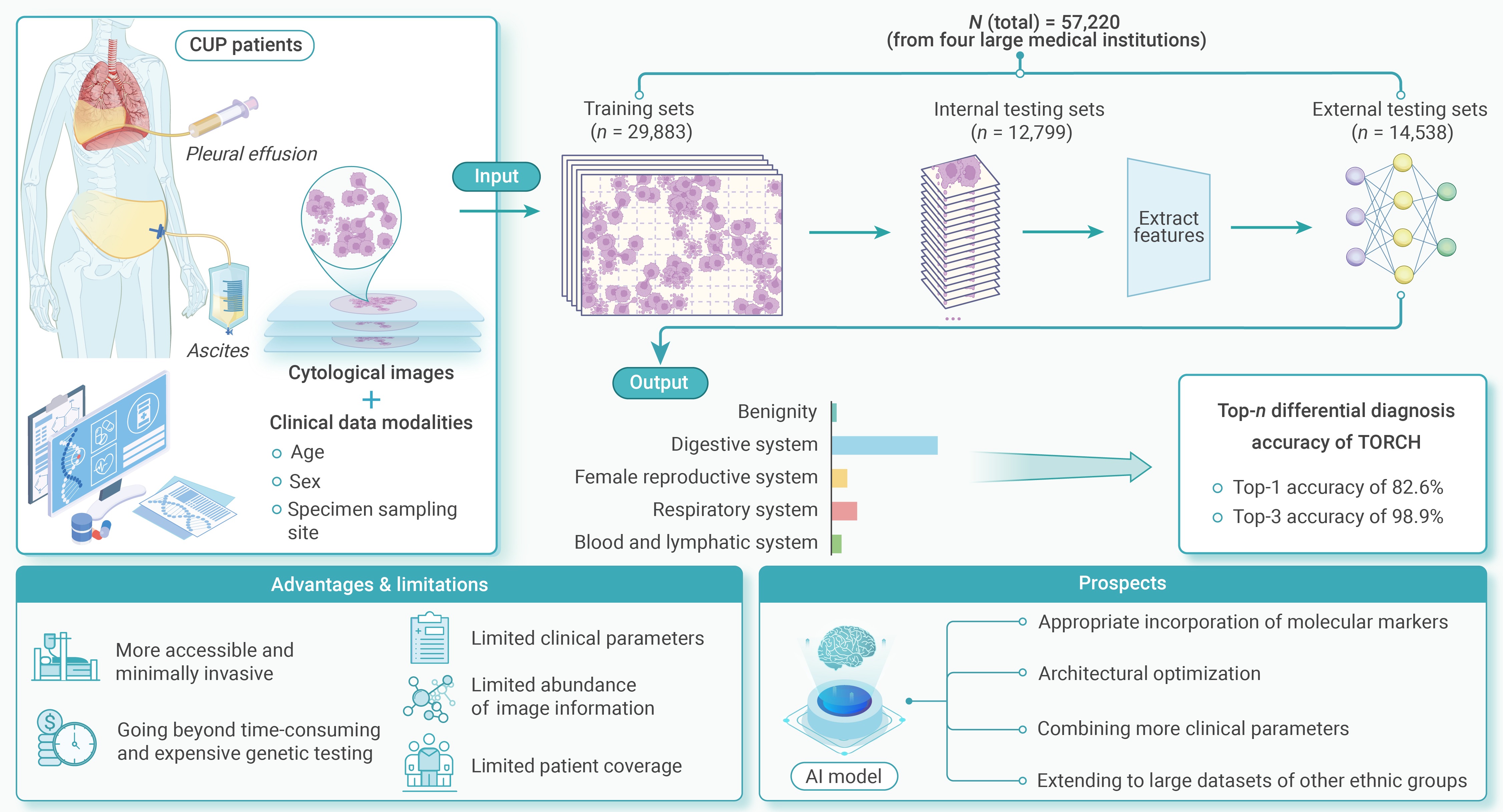 A new paradigm for cytology-based artificial intelligence-assisted prediction for cancers of ...