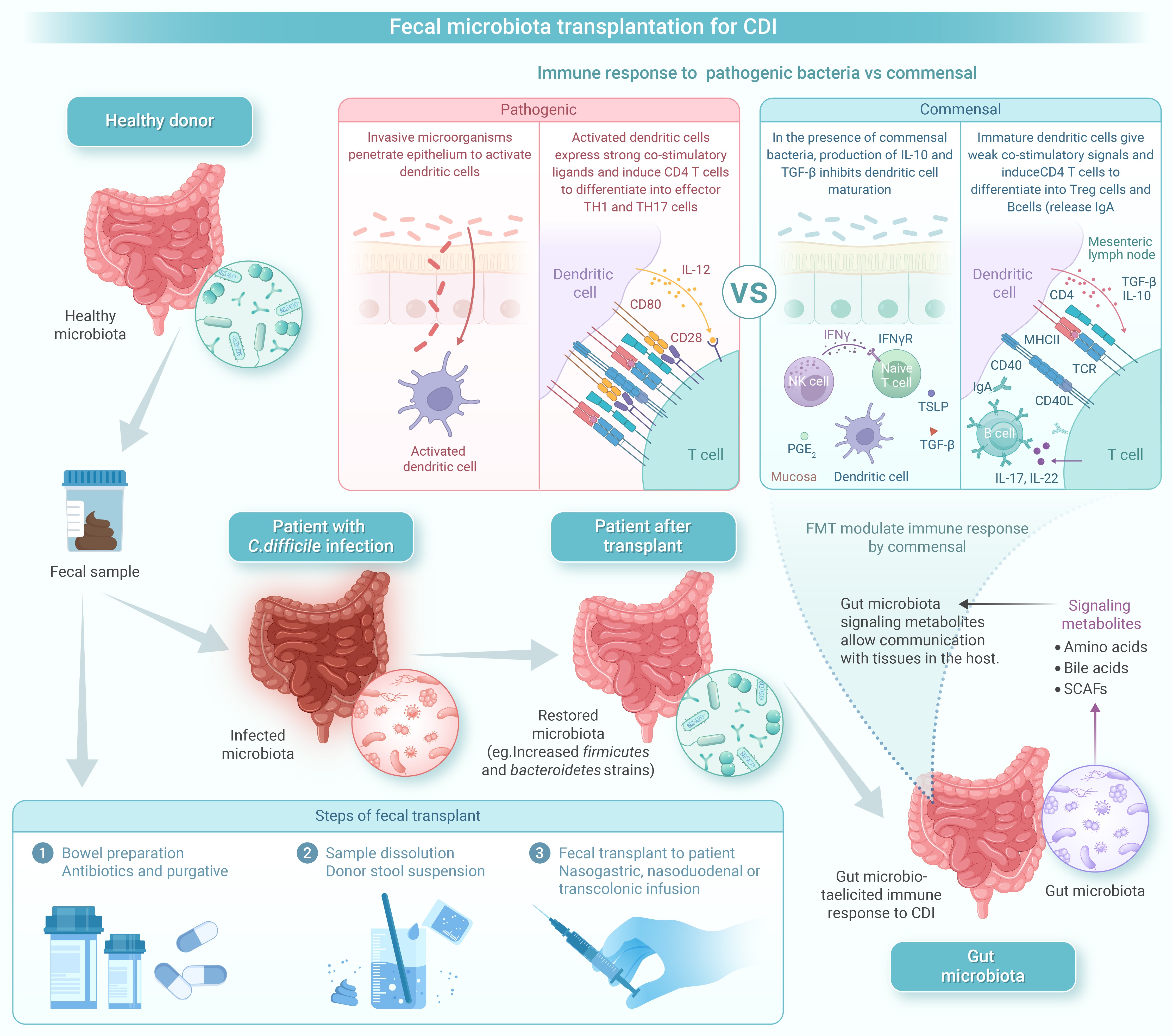 Exploring the epidemiology, pathogenesis, and immunotherapeutic ...