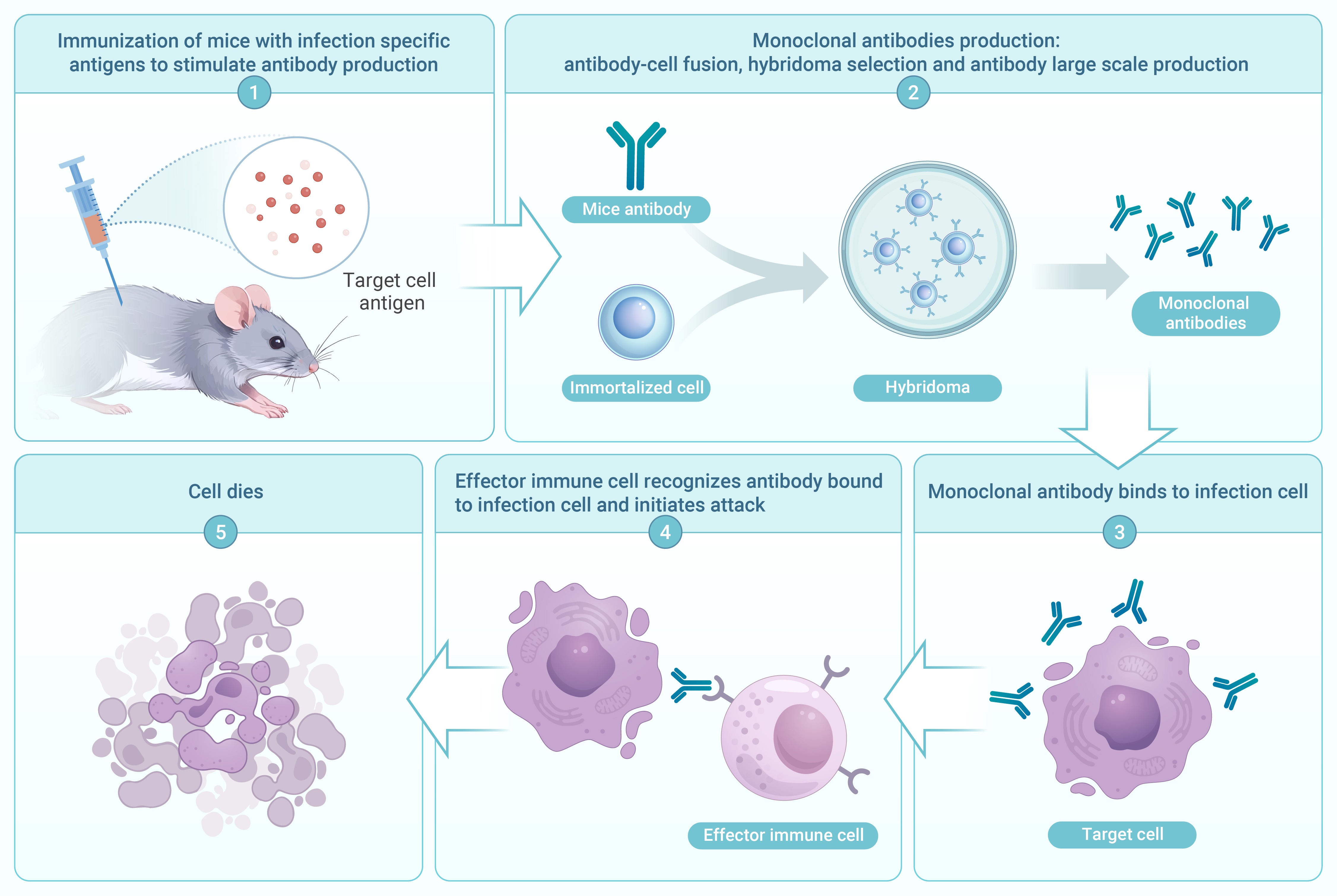 Exploring the epidemiology, pathogenesis, and immunotherapeutic advancements in Clostridium ...
