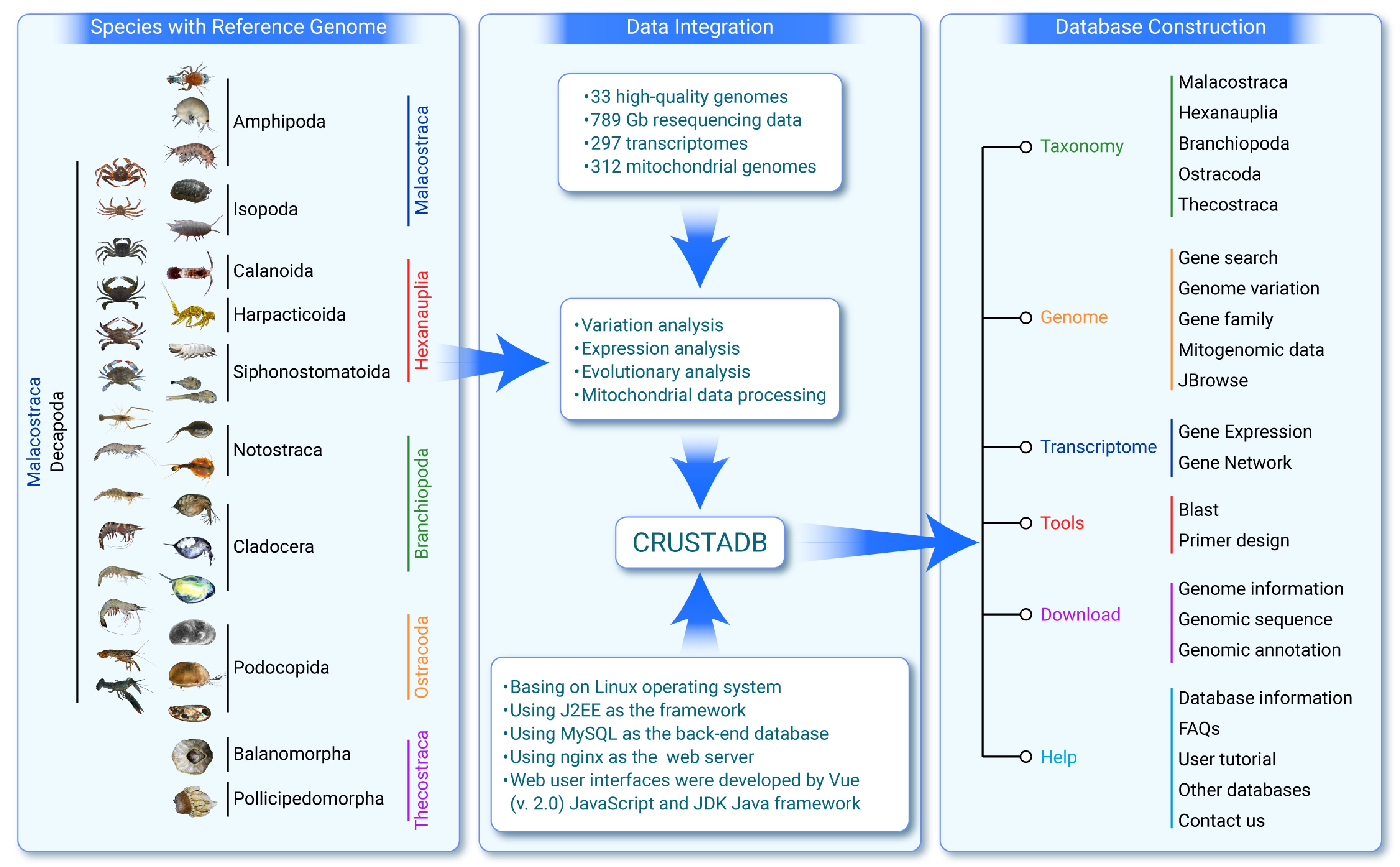 CRUSTADB: An integrated genomics platform for crustaceans